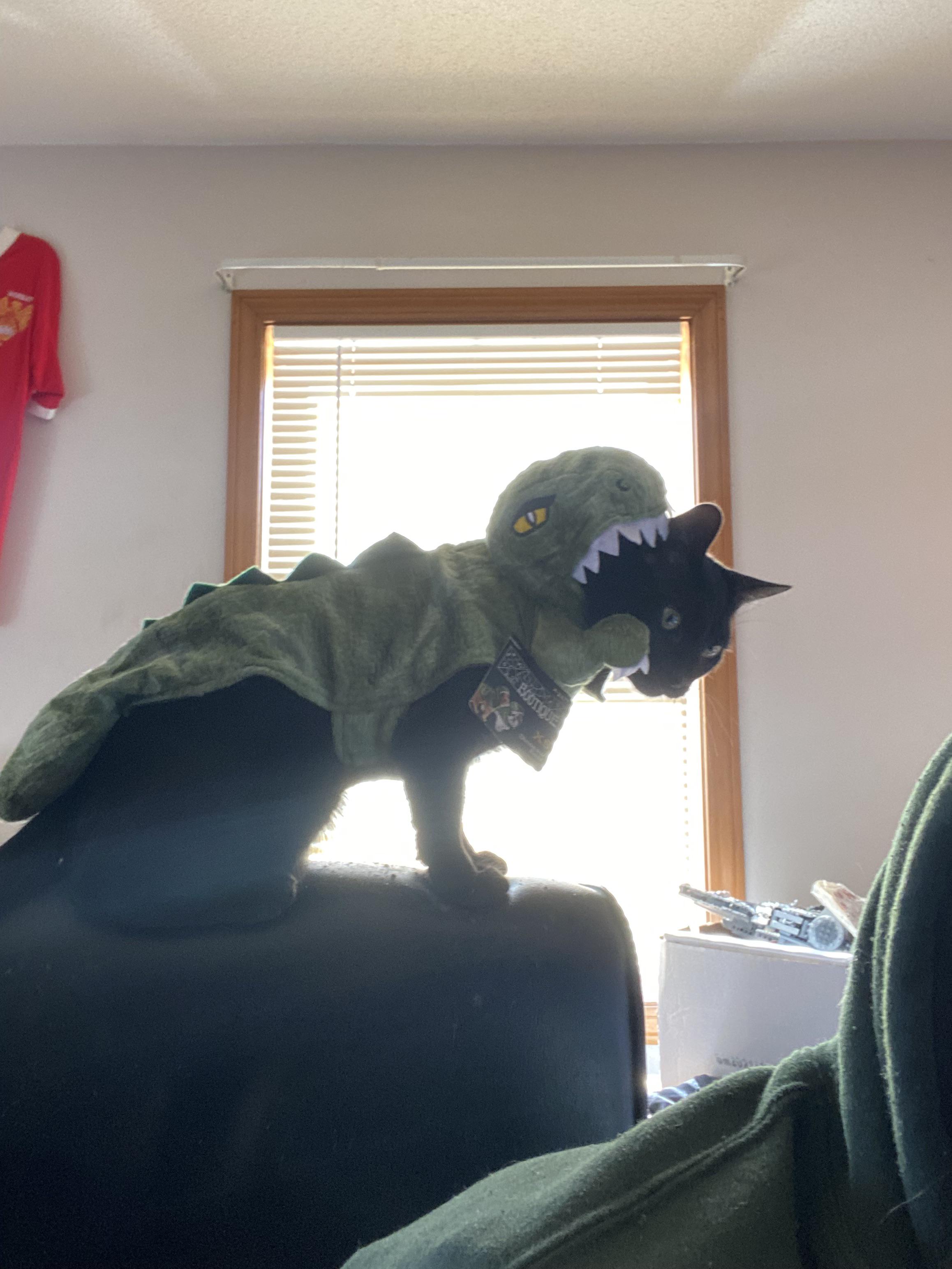 My dinosaur void | Scrolller