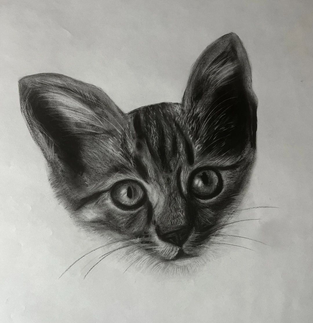 Cat Me Charcoal 2021 Scrolller