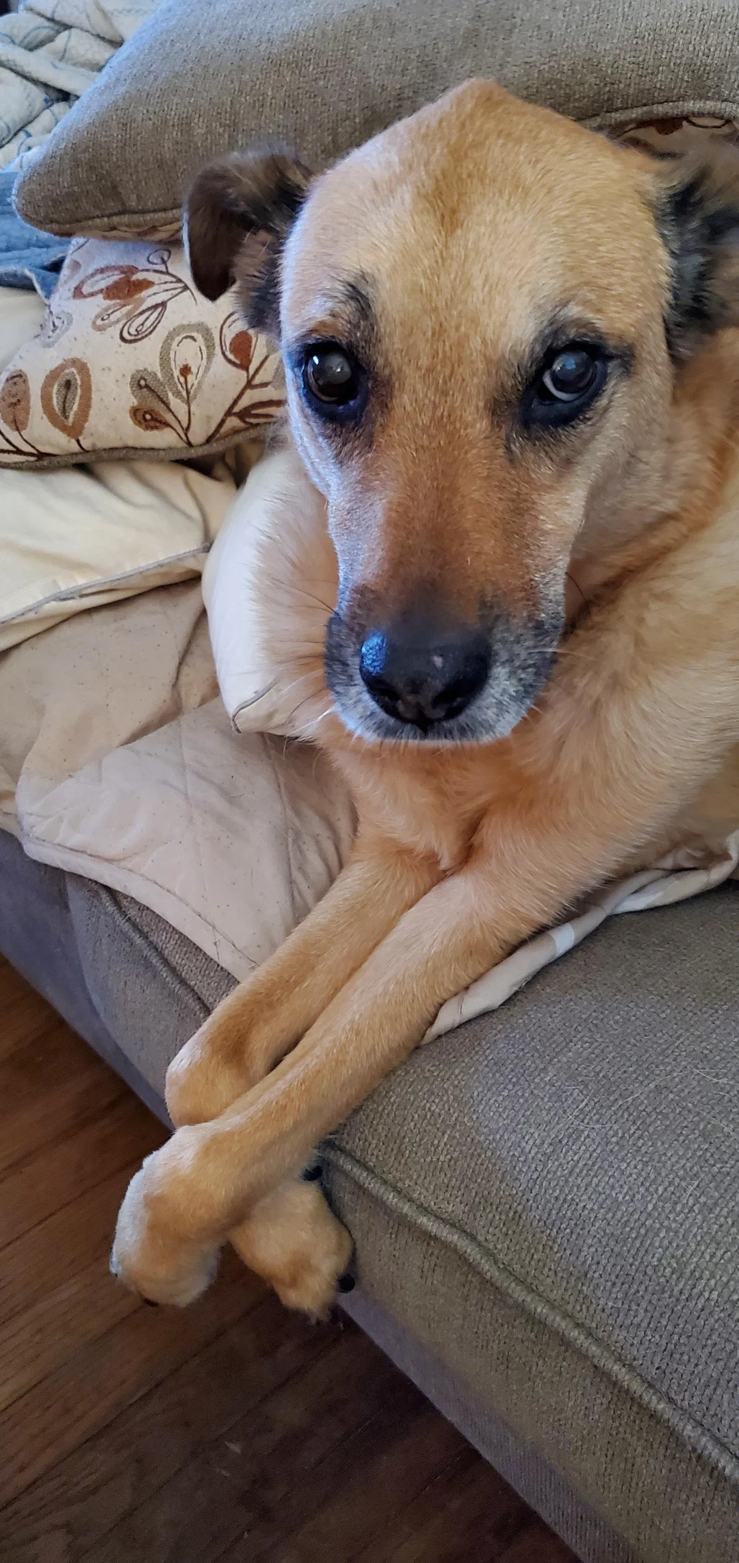 Her eyebrows will advise you of what she thinks about you | Scrolller