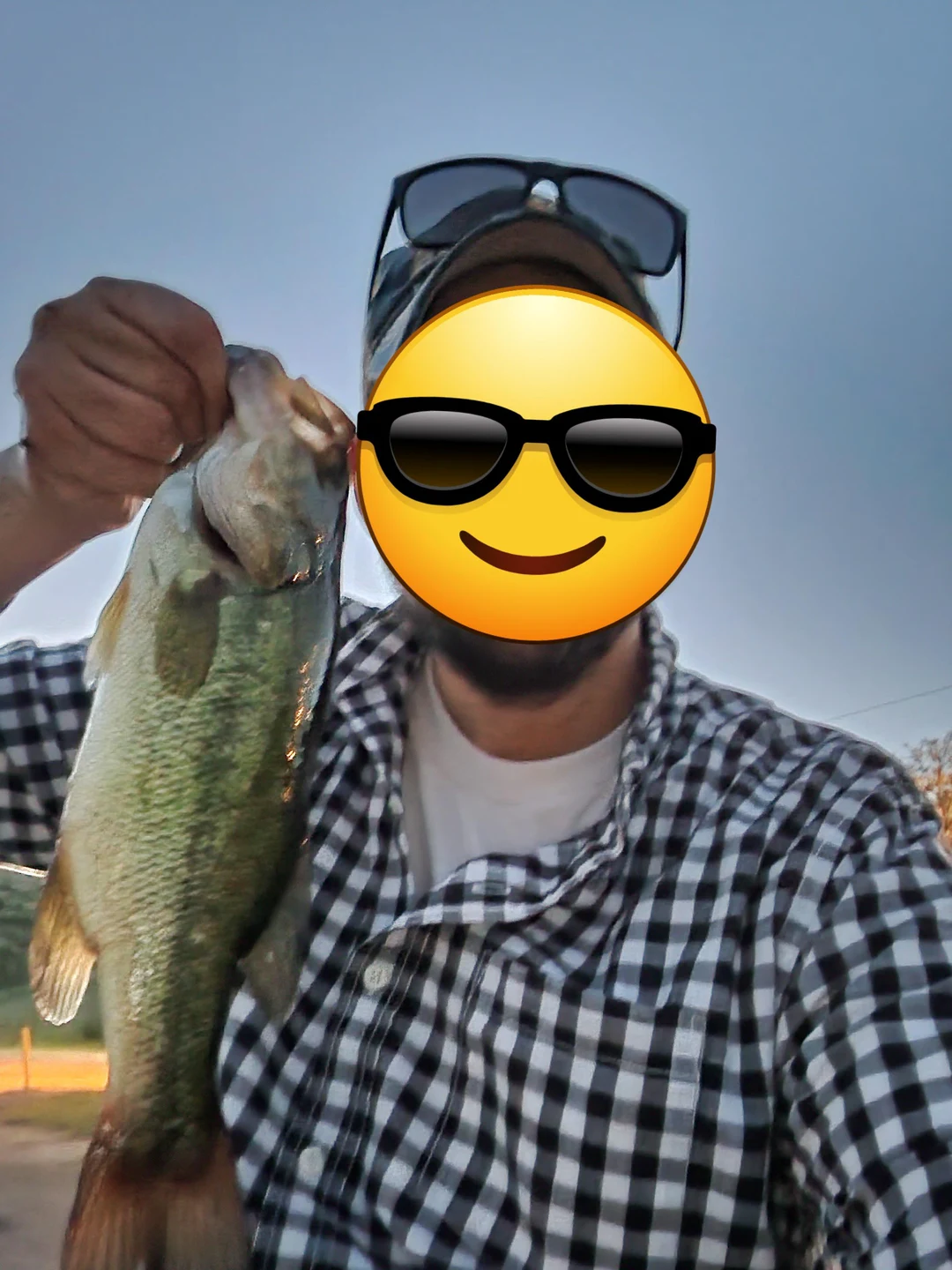 Small pond Largemouth in SE Arizona, USA. | Scrolller