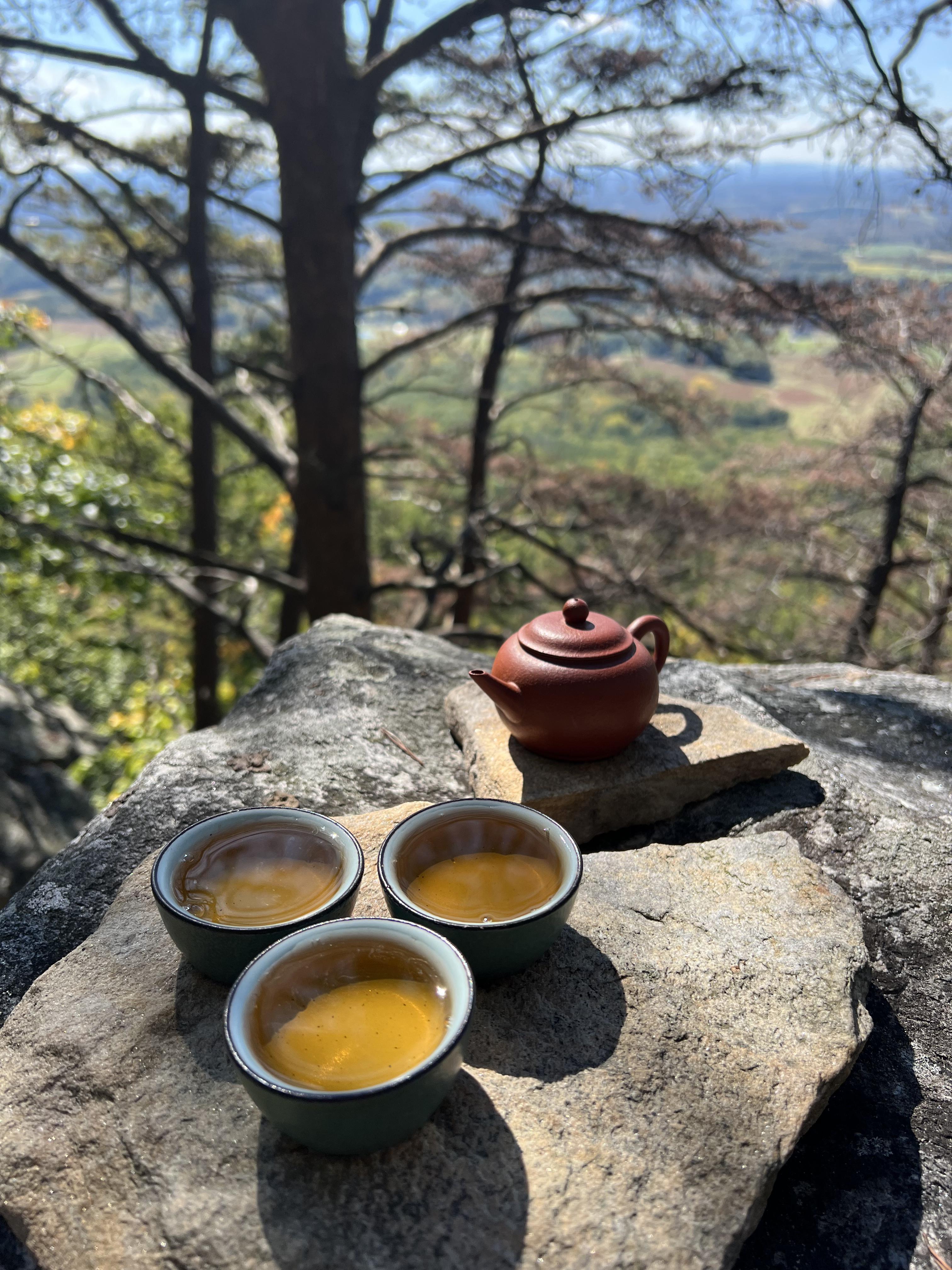 Outdoor Tea! | Scrolller