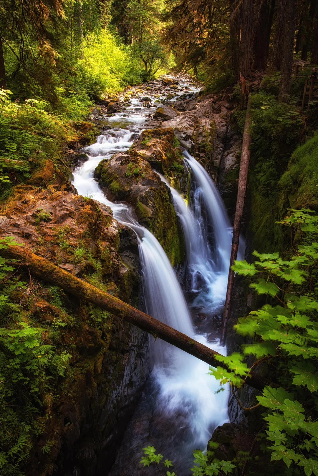 Sol Duc Falls in Olympic National Park [4016x6016][OC] | Scrolller