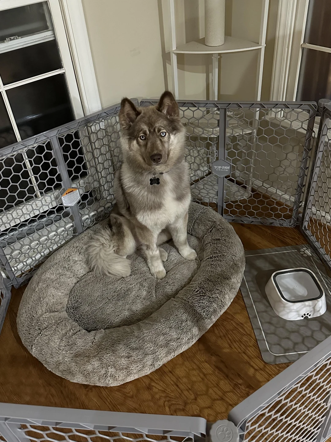 2nd Post Op | Scrolller