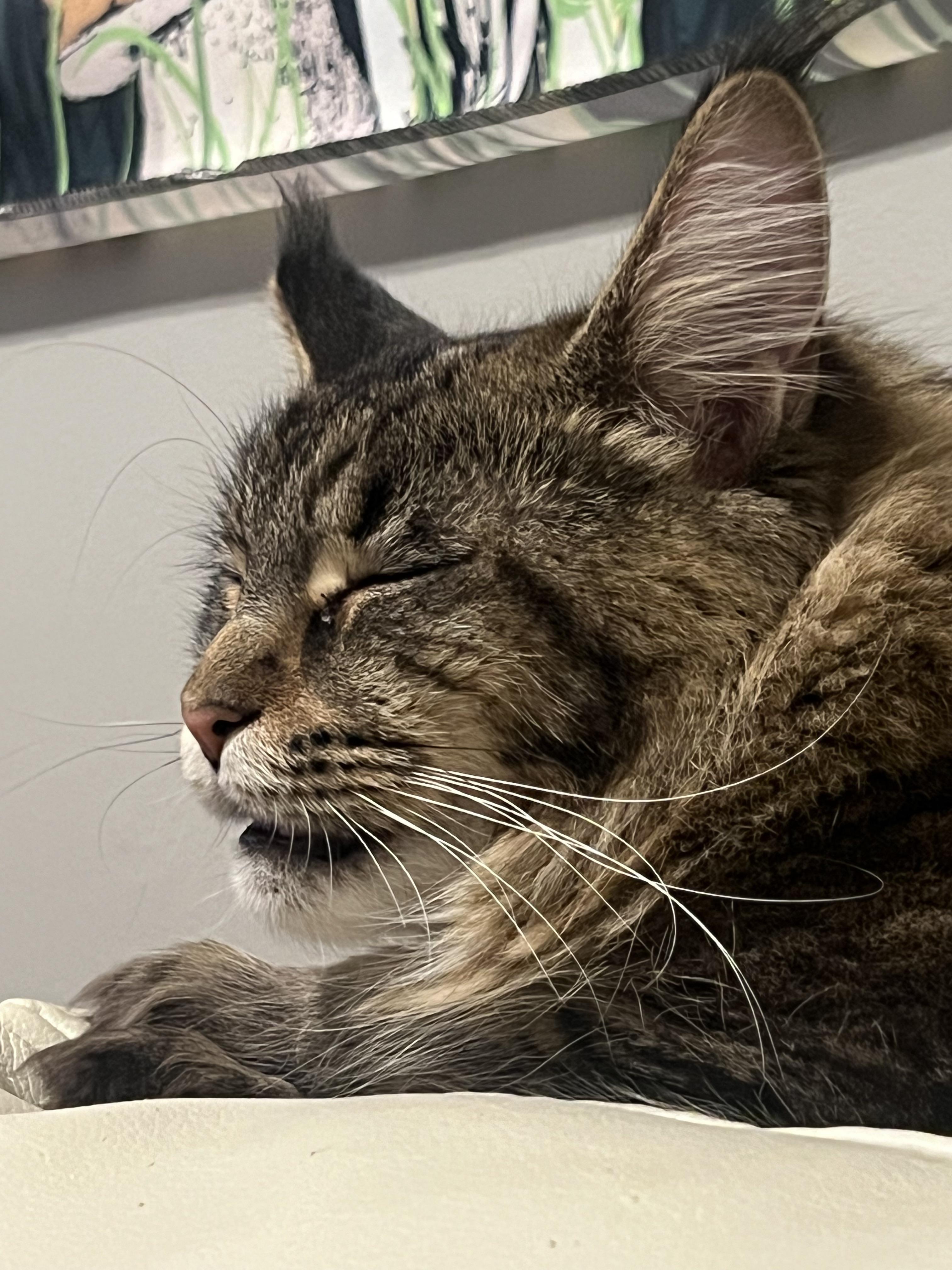 Jim is an interesting sleeper | Scrolller