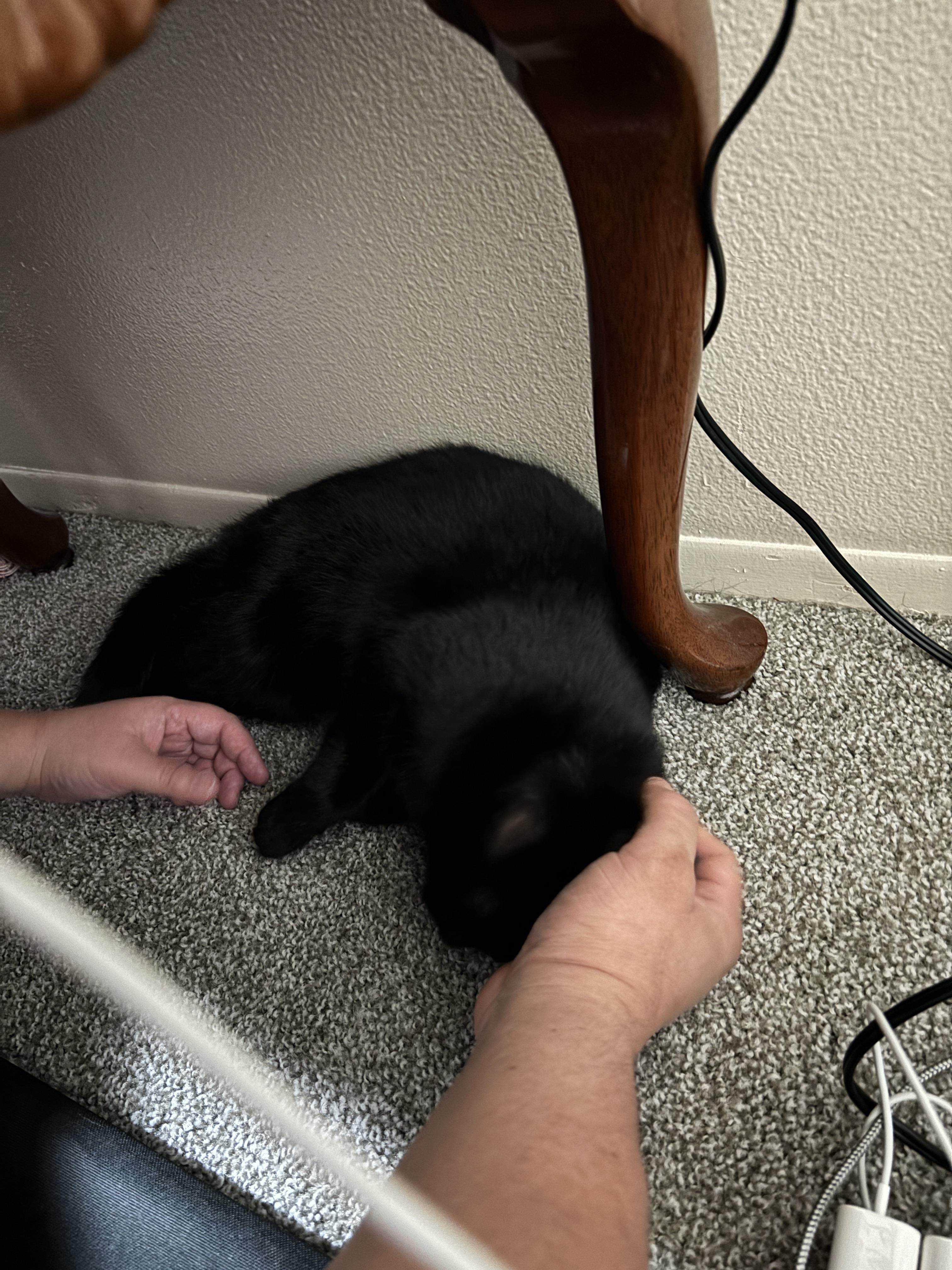 Lightning | Scrolller