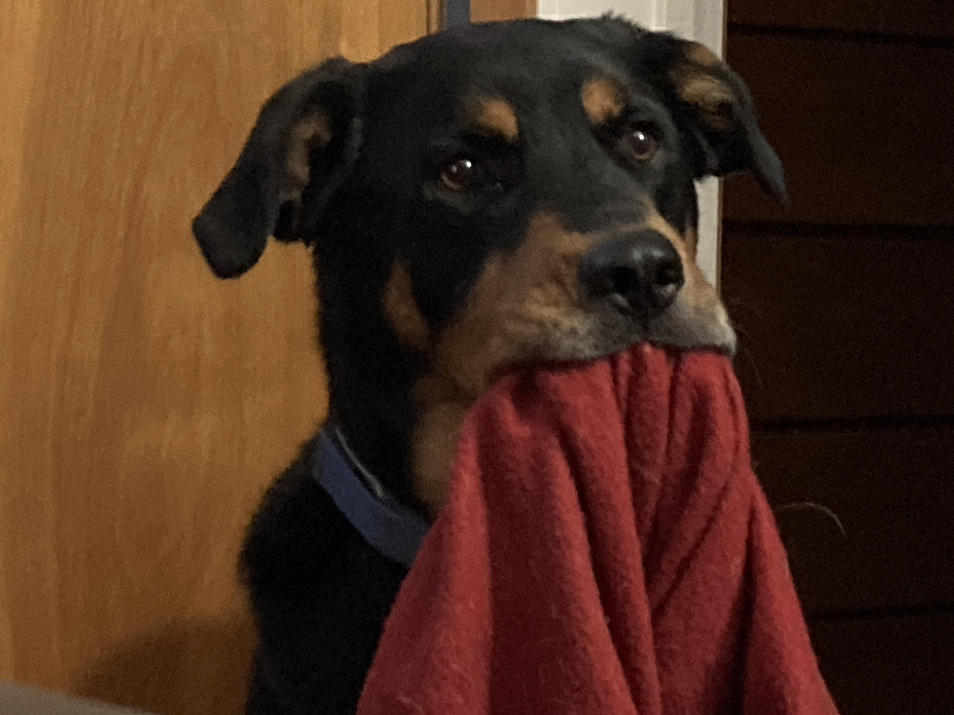 Such a goof! | Scrolller