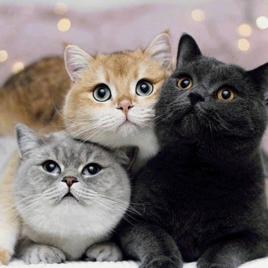 Ben 10 fandom MFs be like: iS tHaT a DiFfErEnT sUb-SpEcIeS!!?? | Scrolller