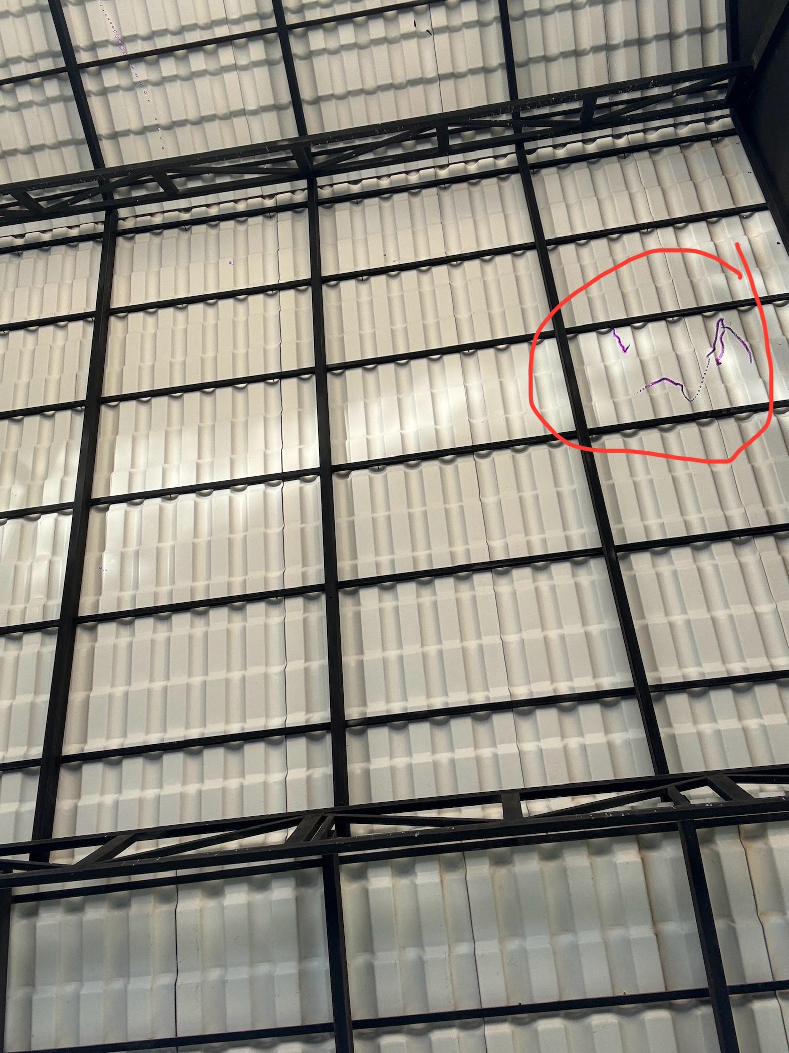 Front facing camera seems to have dead pixels? | Scrolller