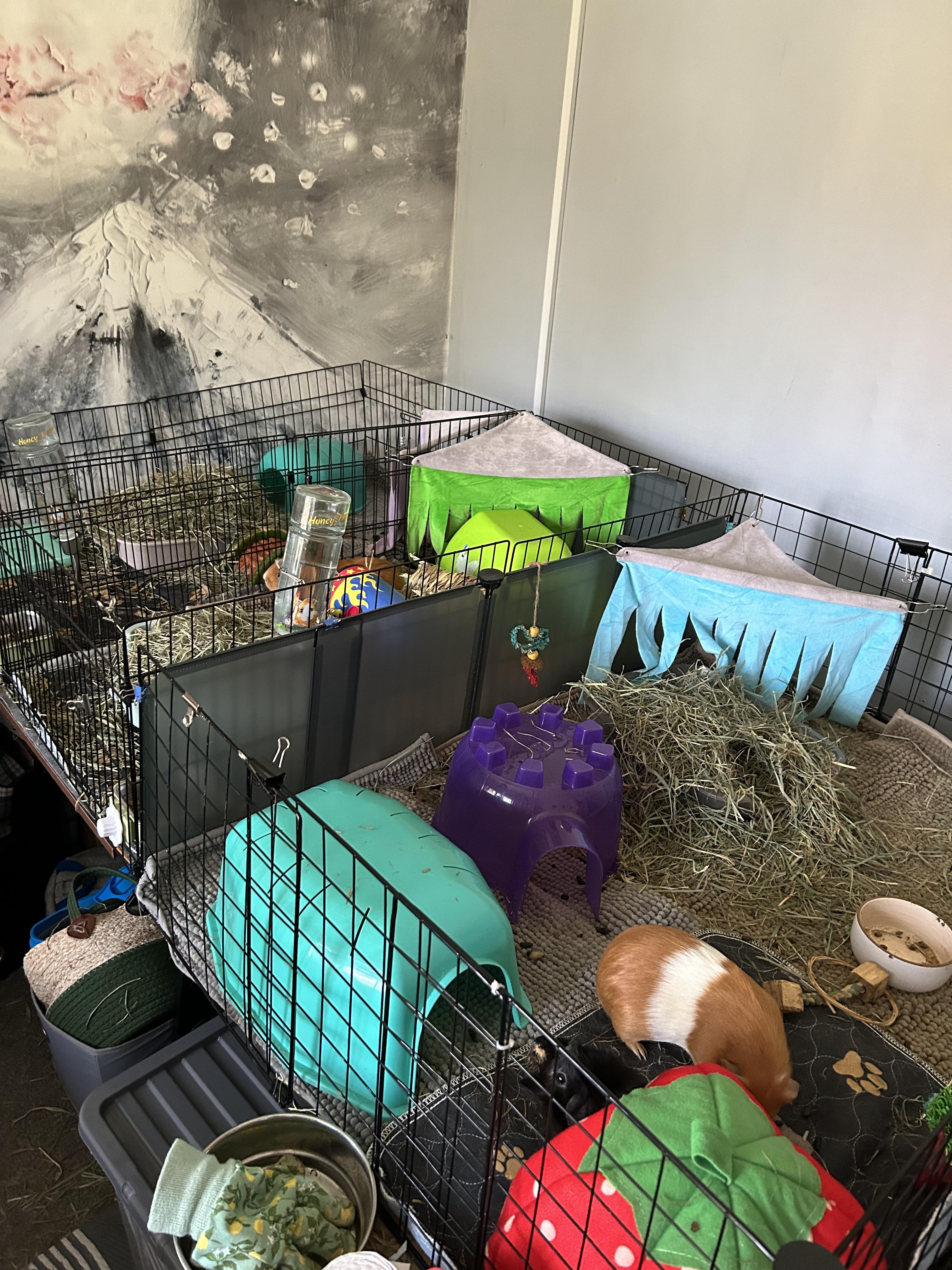 Before and after, built a new mansion | Scrolller