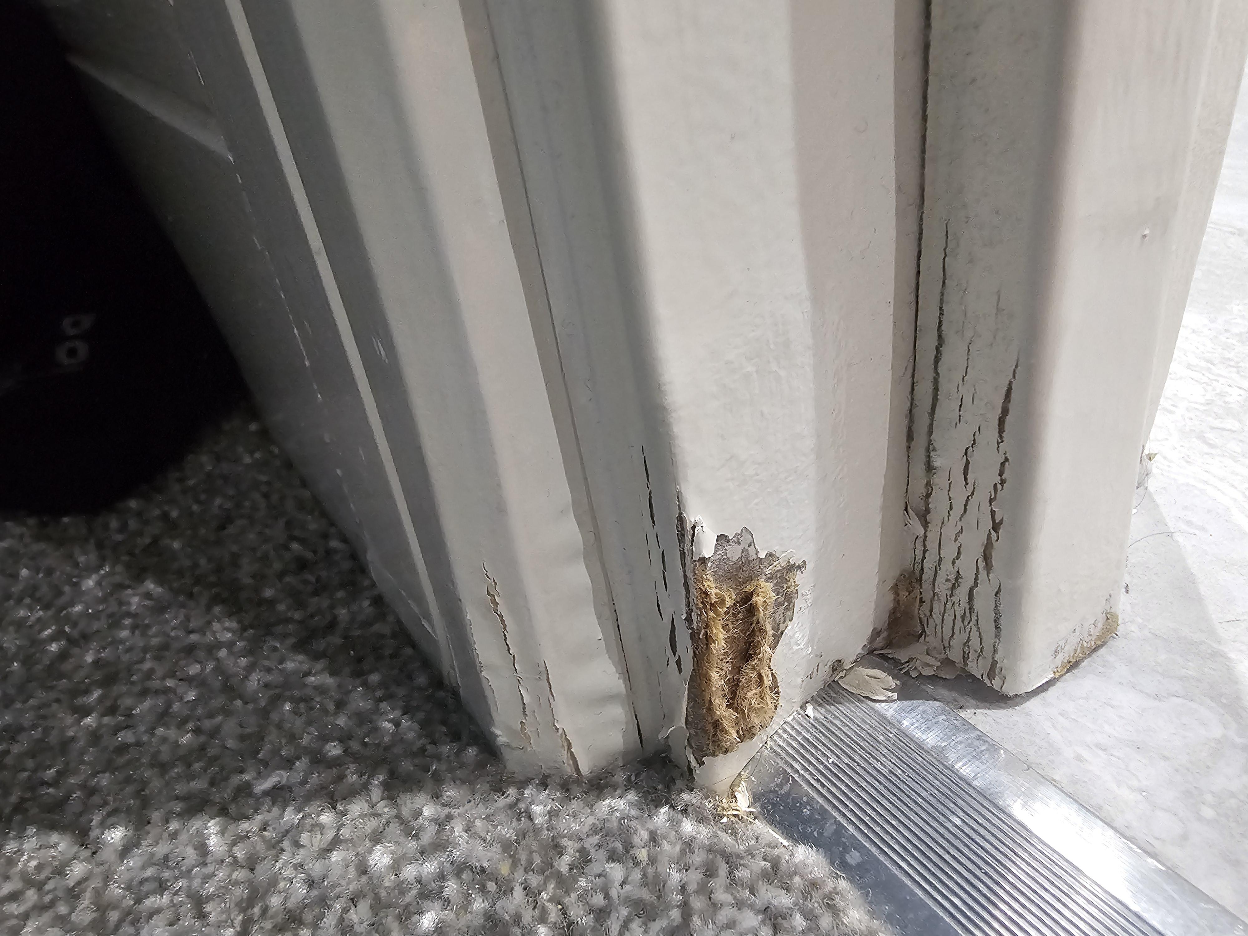 Advice for water damaged bathroom door frame? | Scrolller