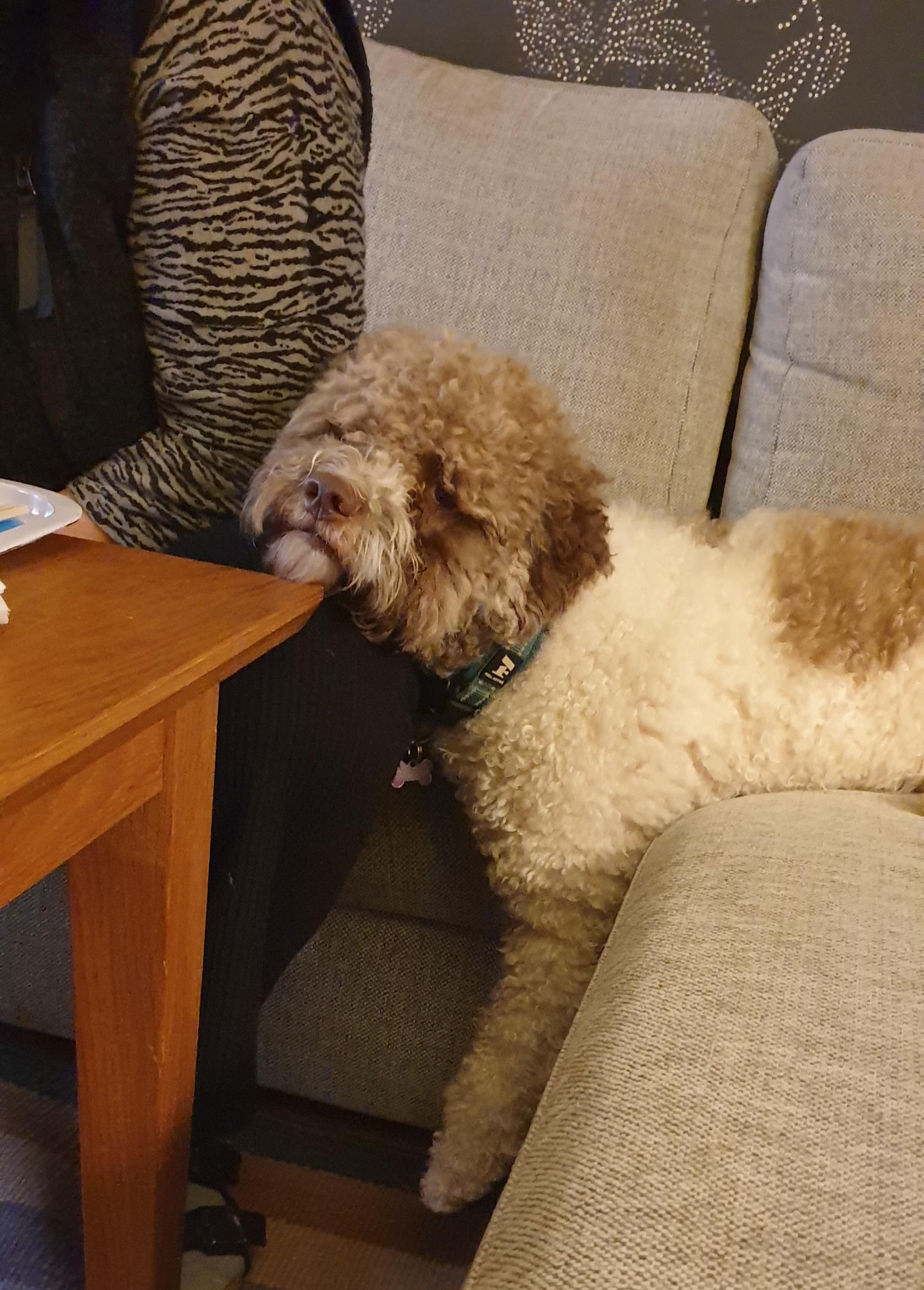 [OC] Visible disappointment when she didn't get any sushi | Scrolller