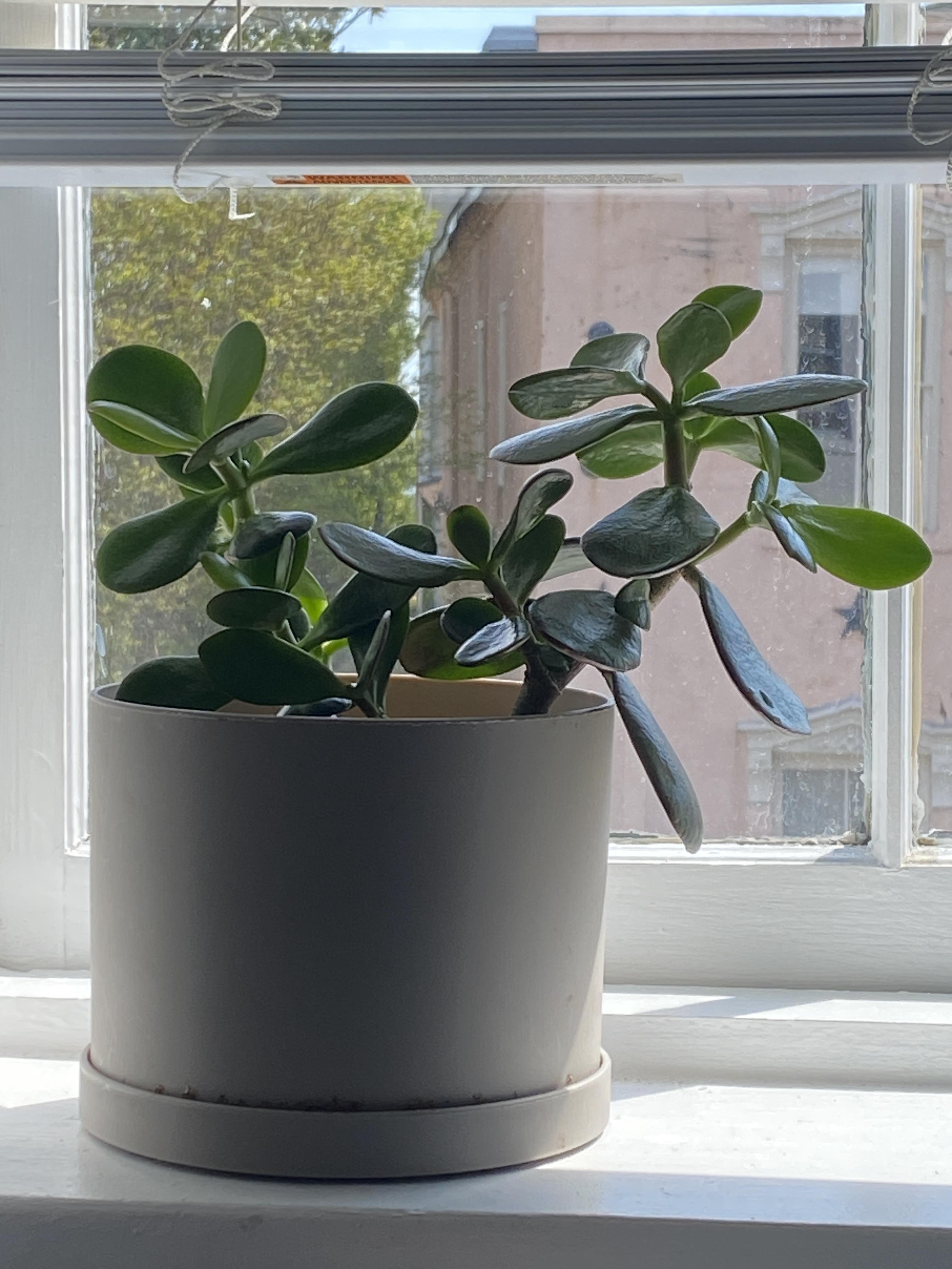 What’s this bubble? | Scrolller