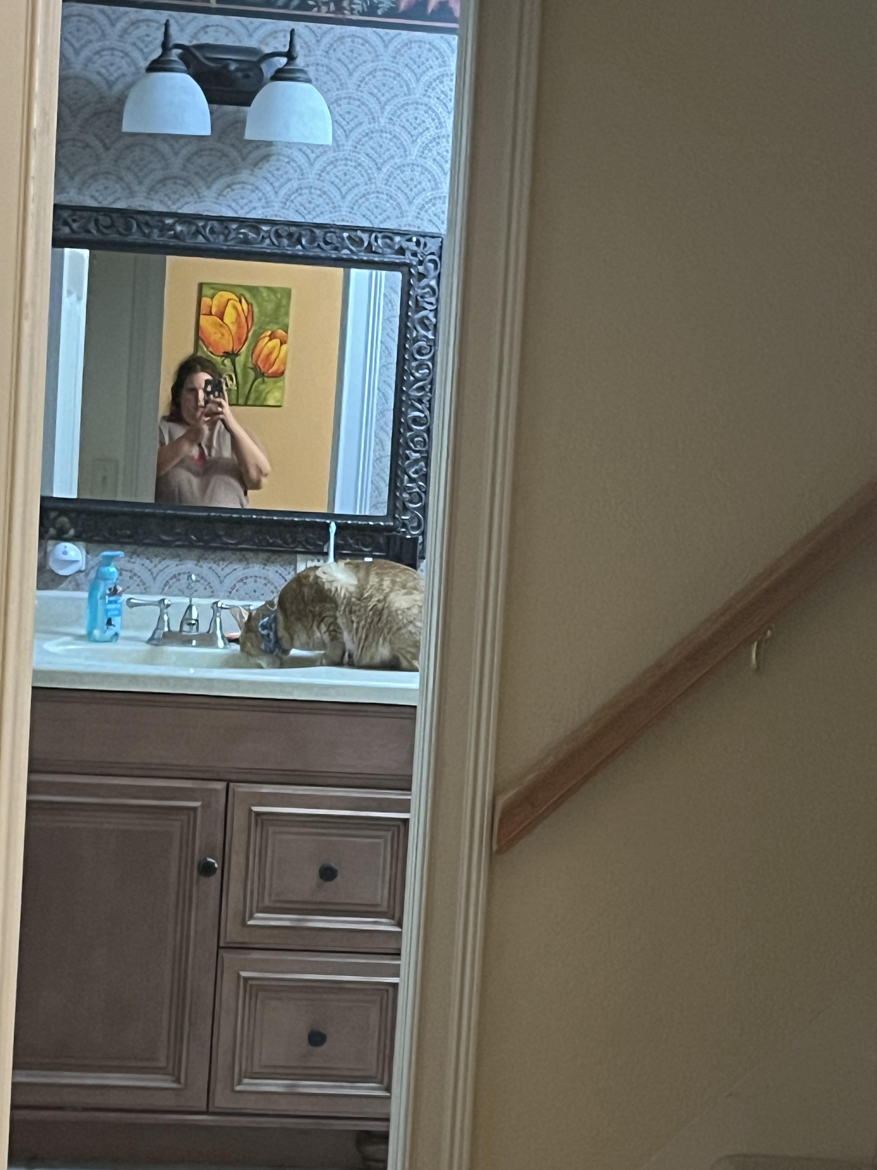 Help! One brain cell, drinkingcc | Scrolller