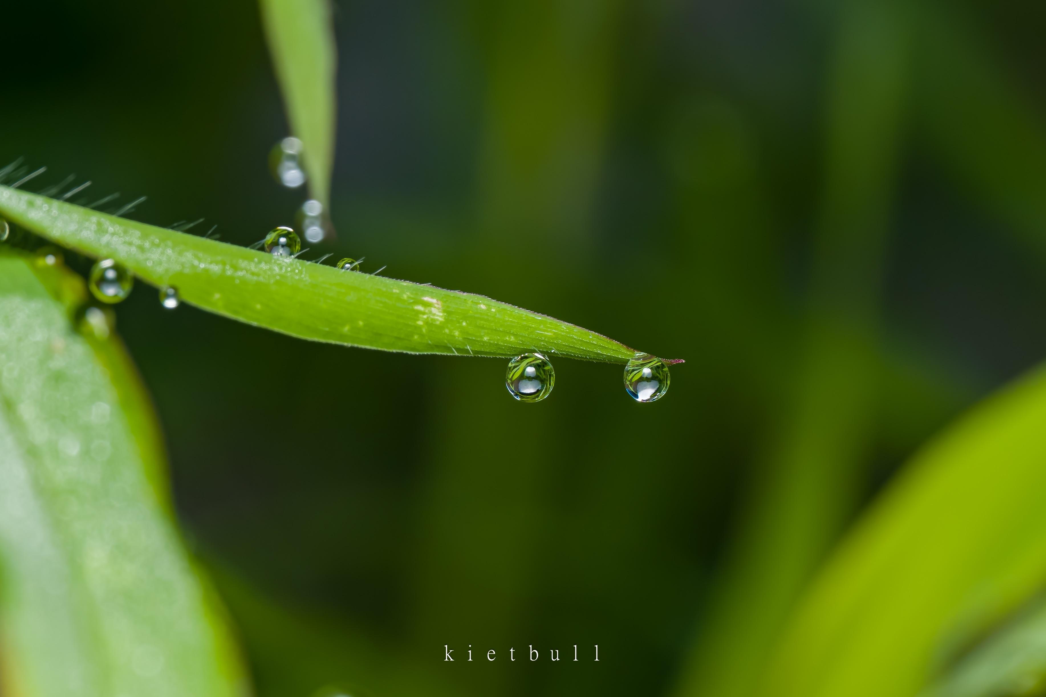 Sparkling | Scrolller