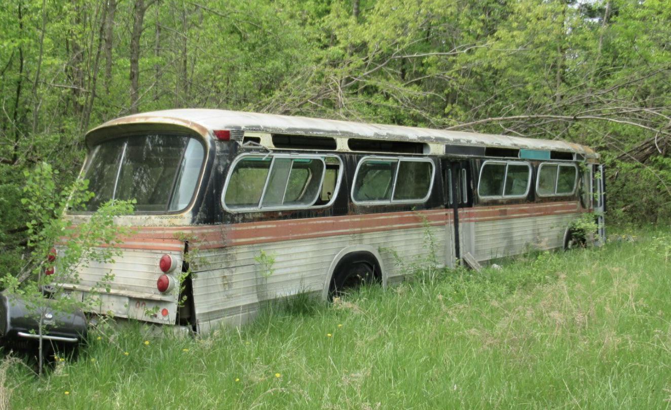 What’s this bus? | Scrolller