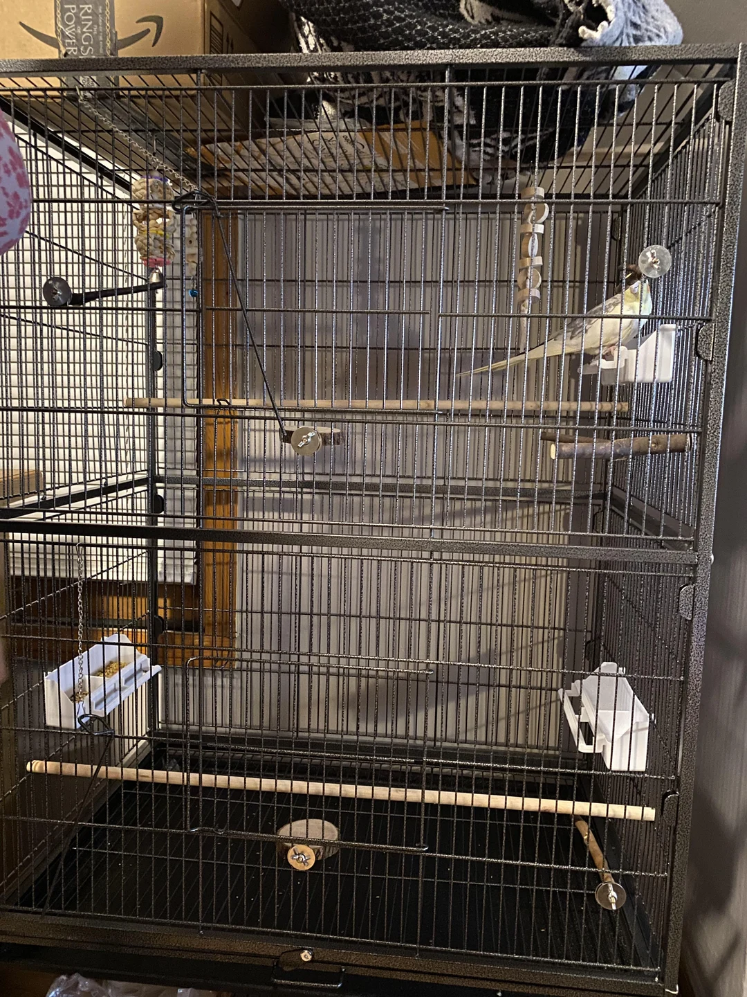 Cage Set-up recommendations? Going to replace those wooden dowels asap too. | Scrolller
