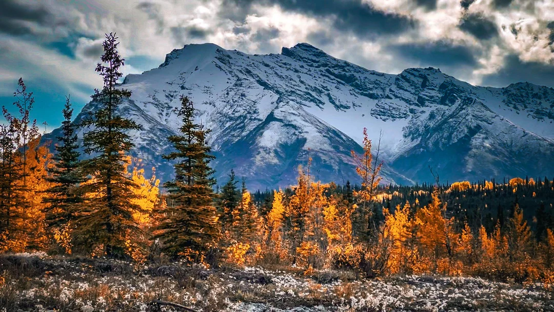 Fall in the Mat-Su Valley, Alaska [OC] [1920x1080] | Scrolller