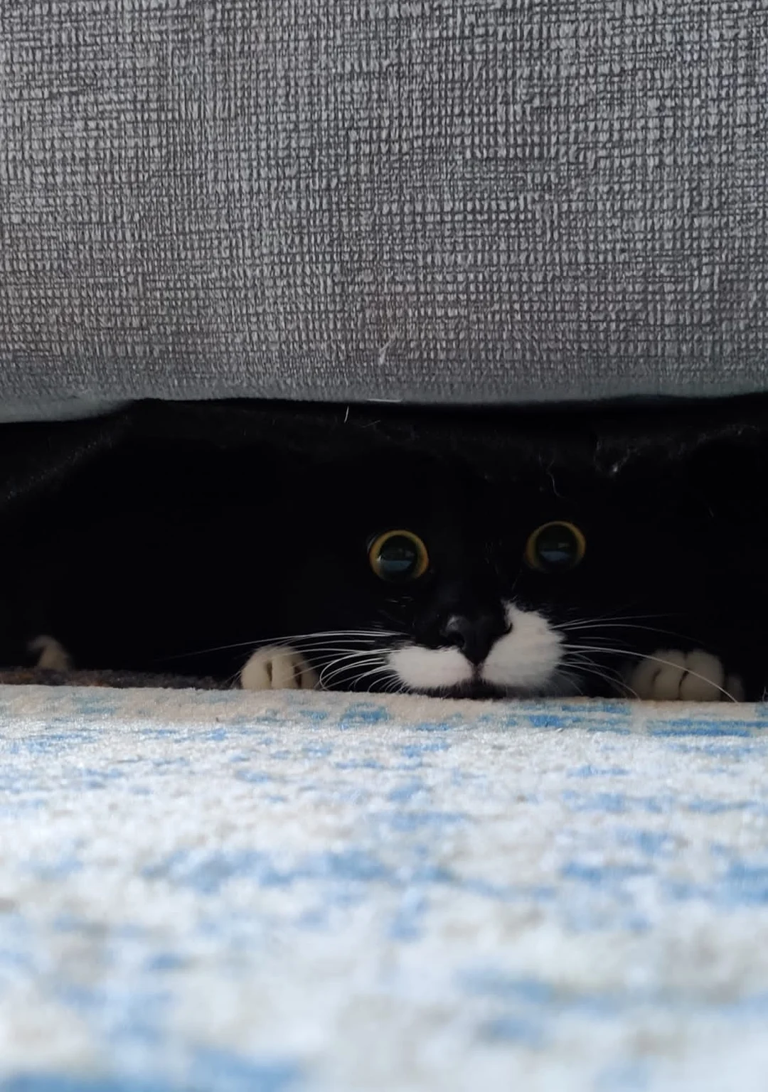 Death by pussy would be terrifying | Scrolller