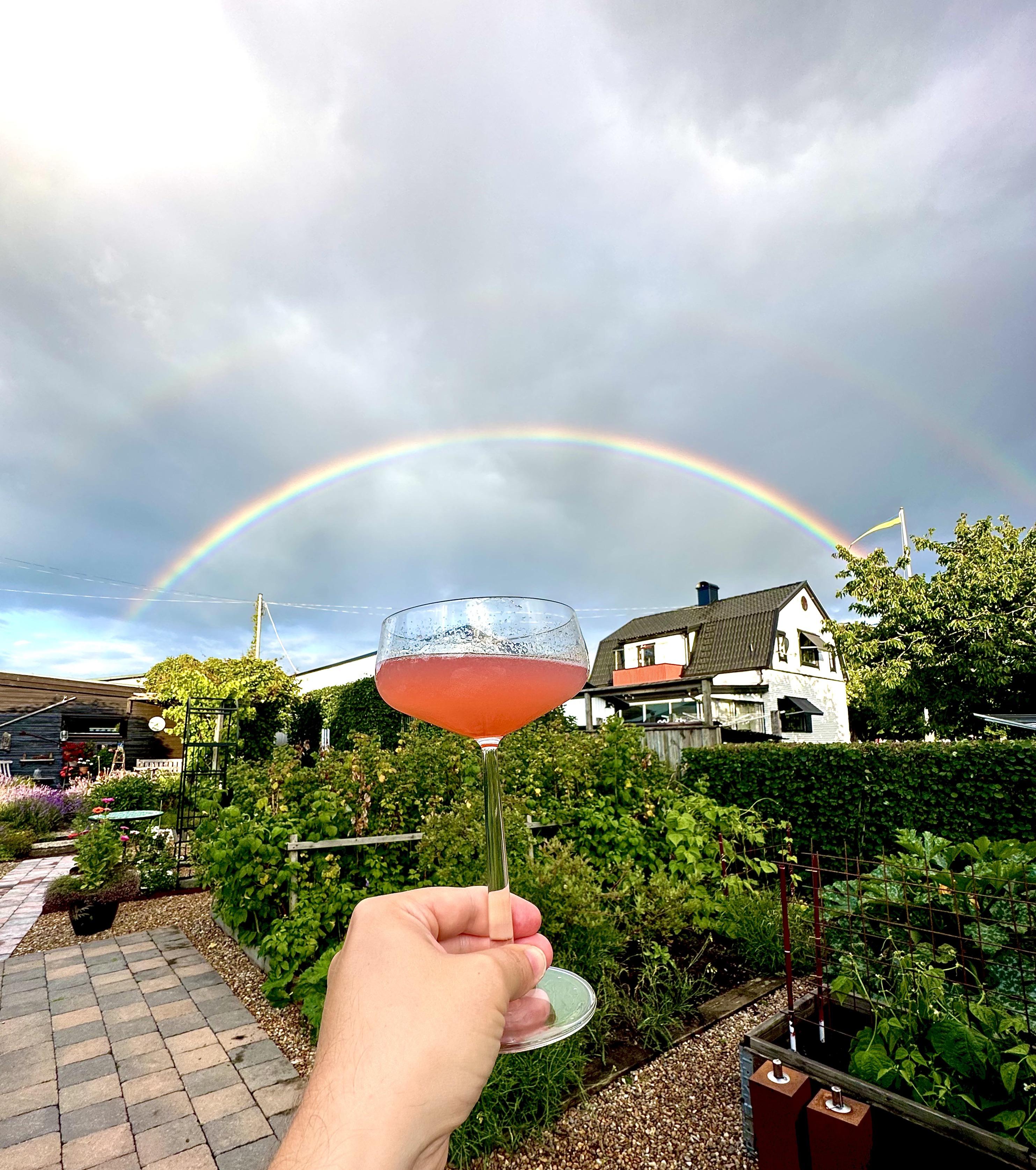 Rhubarb daiquiri under a double rainbow 🌈 | Scrolller