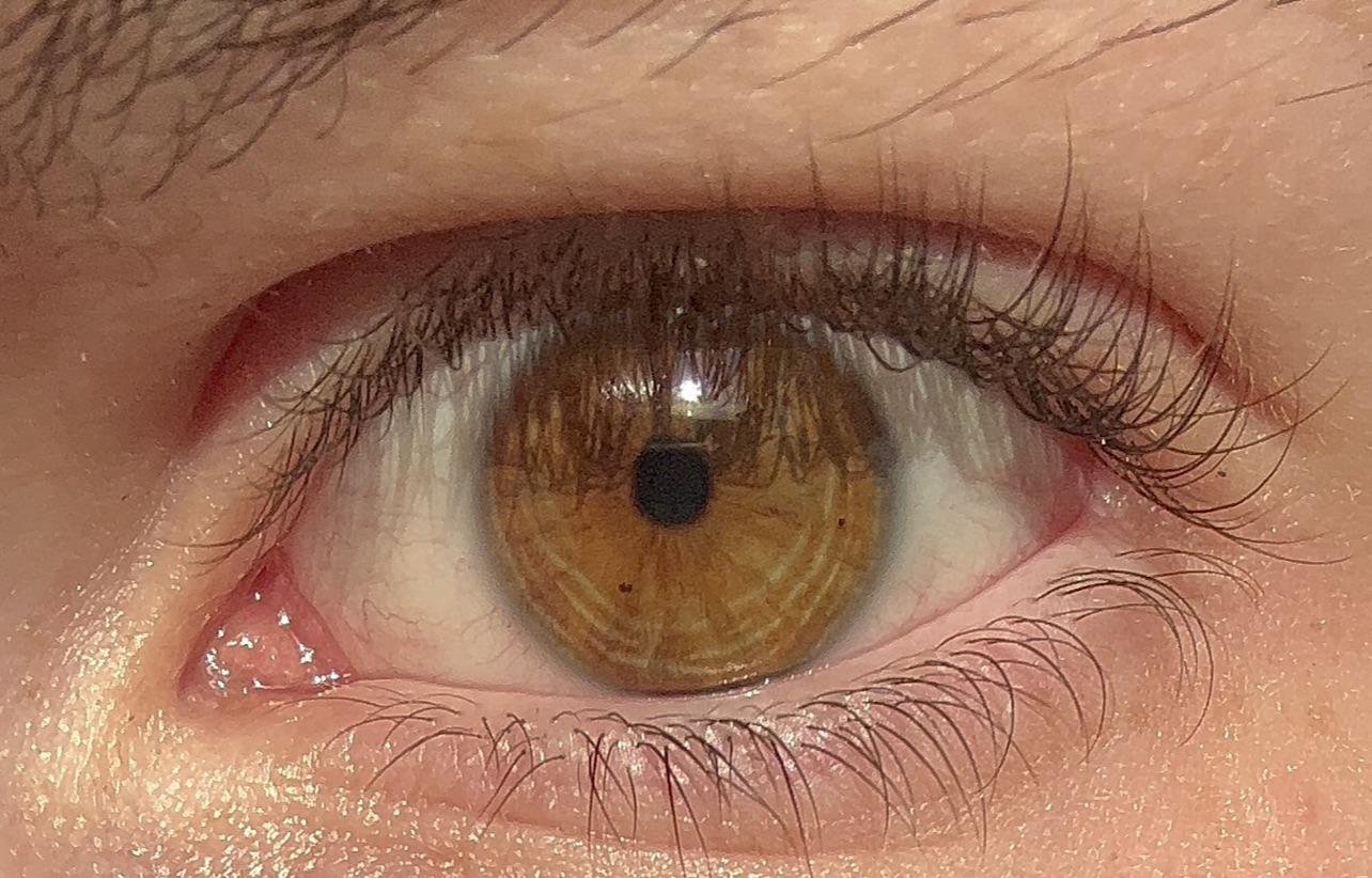 Can someone tell me if these are Amber, brown or Hazel please | Scrolller