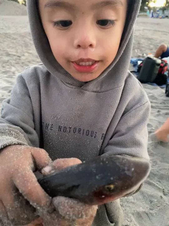 Son brings baby shark “back to normal”. | Scrolller