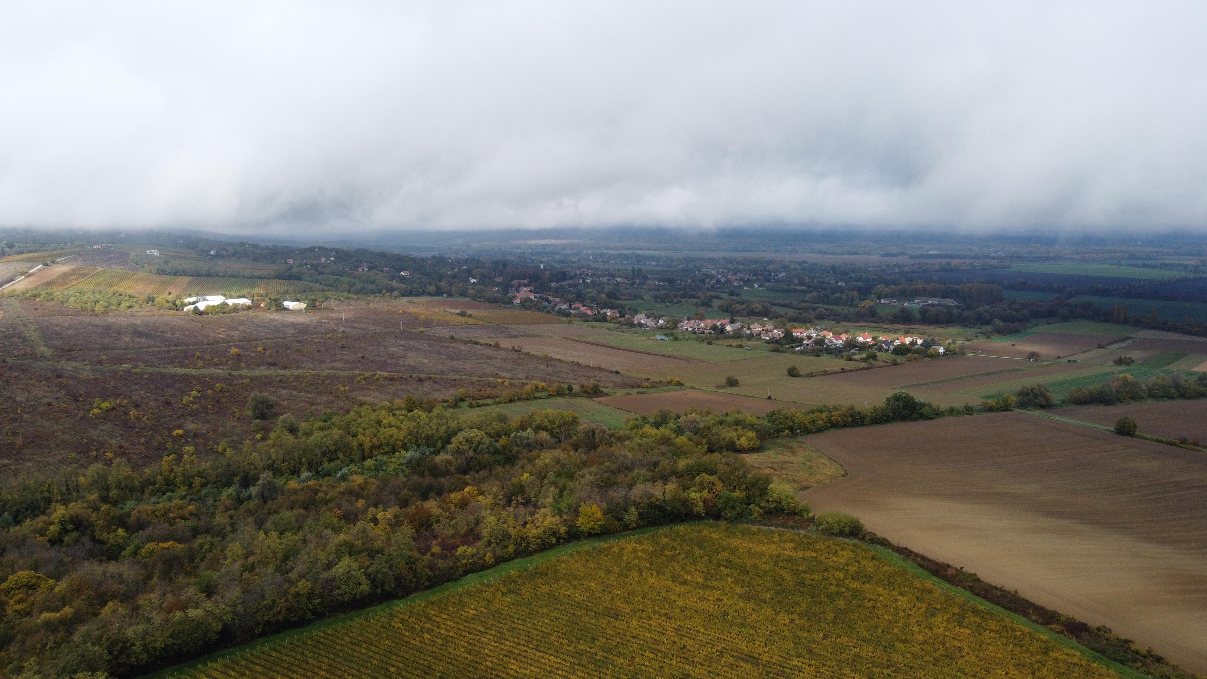 Mist everywhere | Scrolller