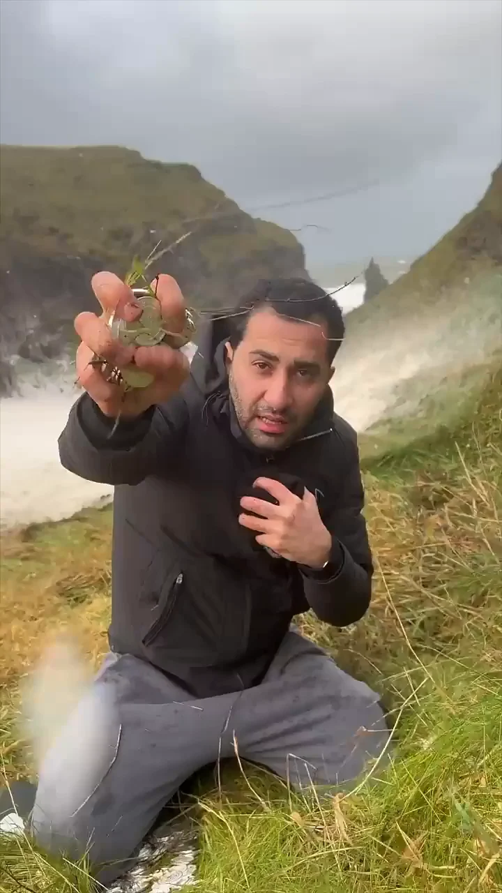 He is gone mad | Scrolller