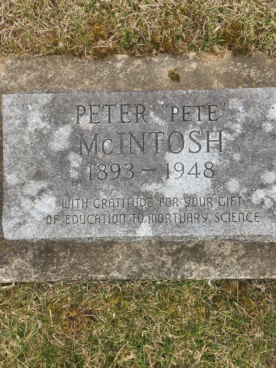 Petrified Pete | Scrolller