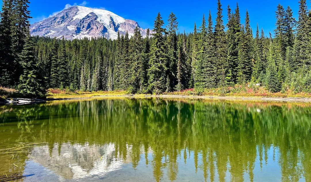 Paradise area of Mount Rainier in early fall [OC] 2500x2200 | Scrolller