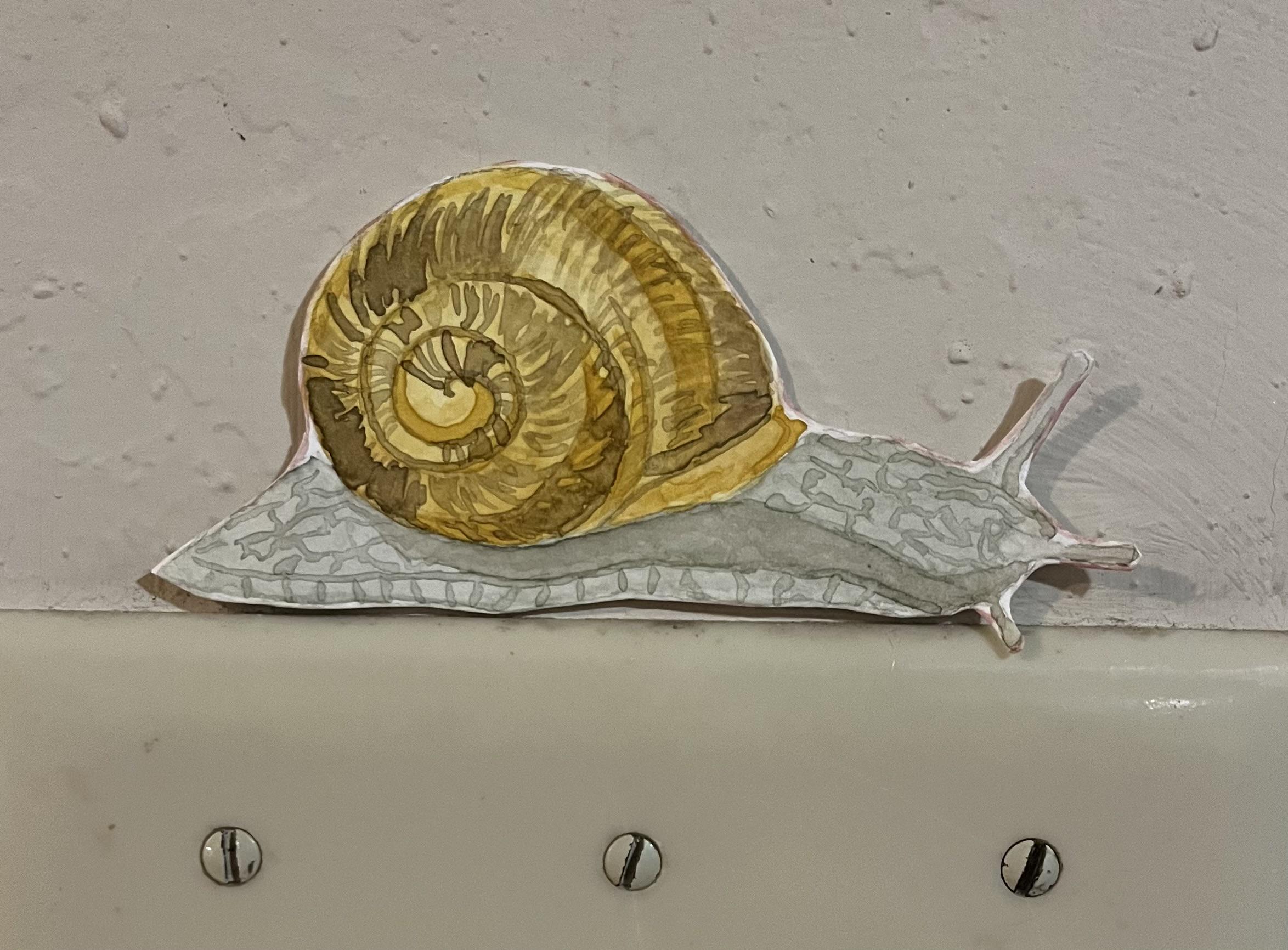 Snail practice | Scrolller