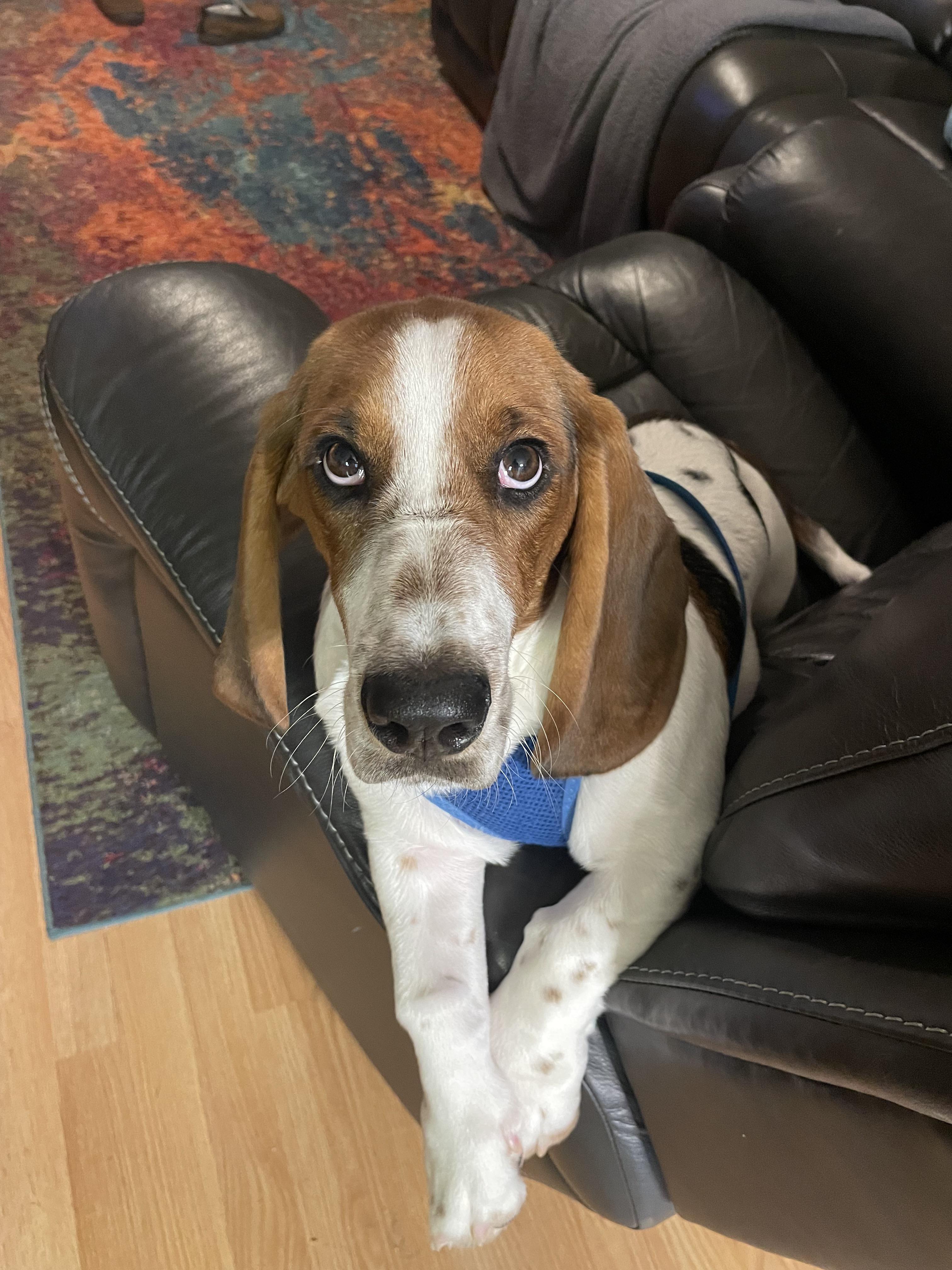 Wilbur chilling | Scrolller