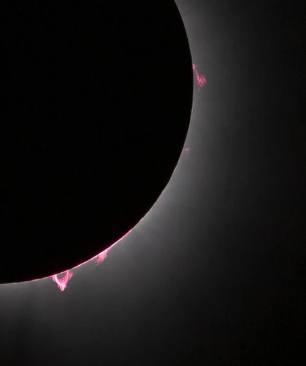 Discover more like Spaceporn: Solar Prominences and Related Content | Scrolller