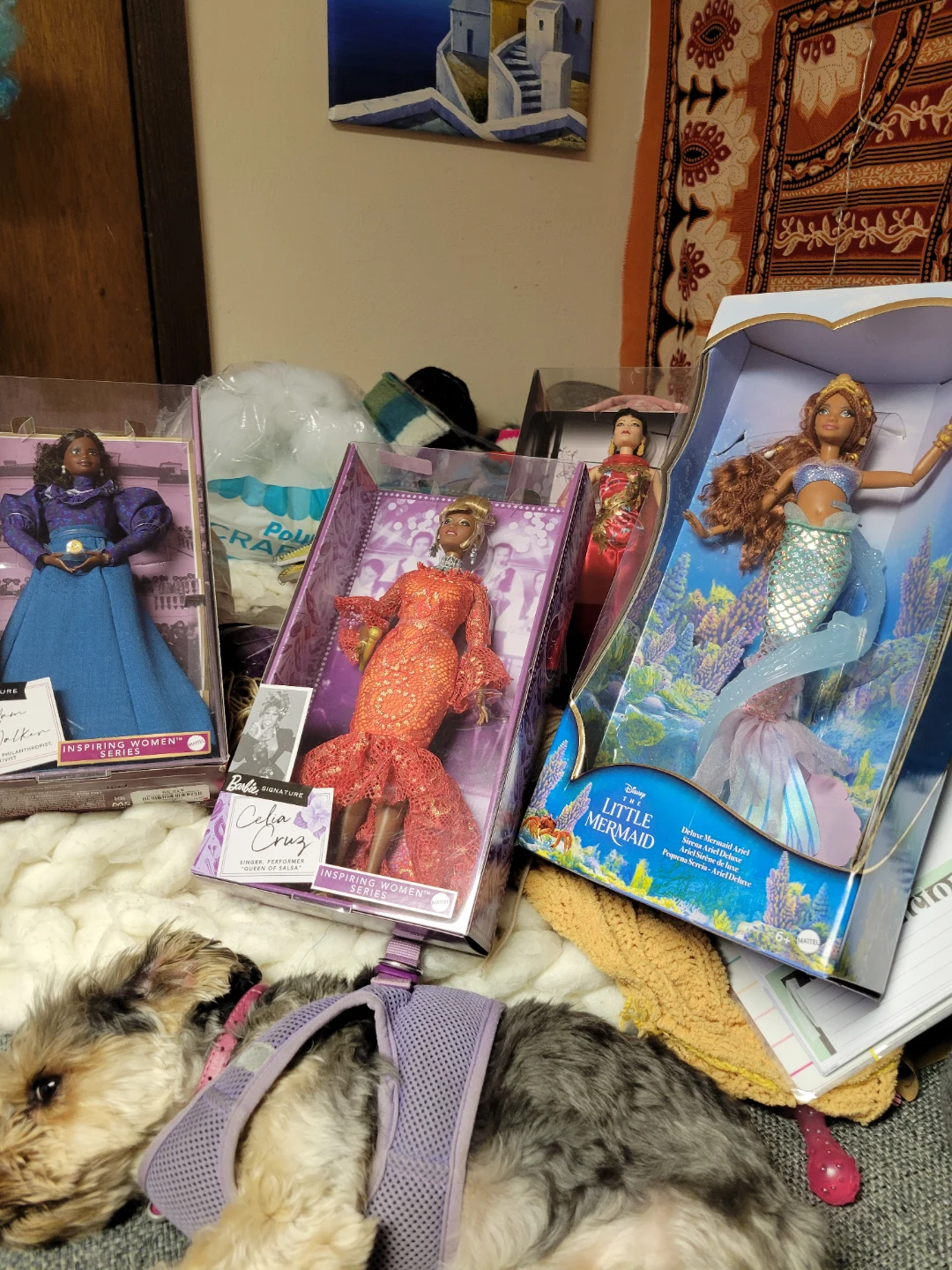 Doll sales | Scrolller