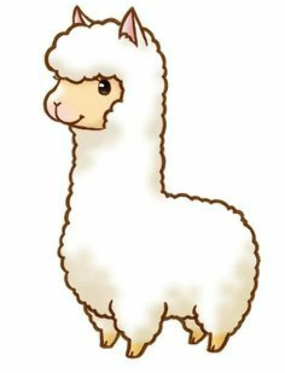 Fluffy Llama | Scrolller