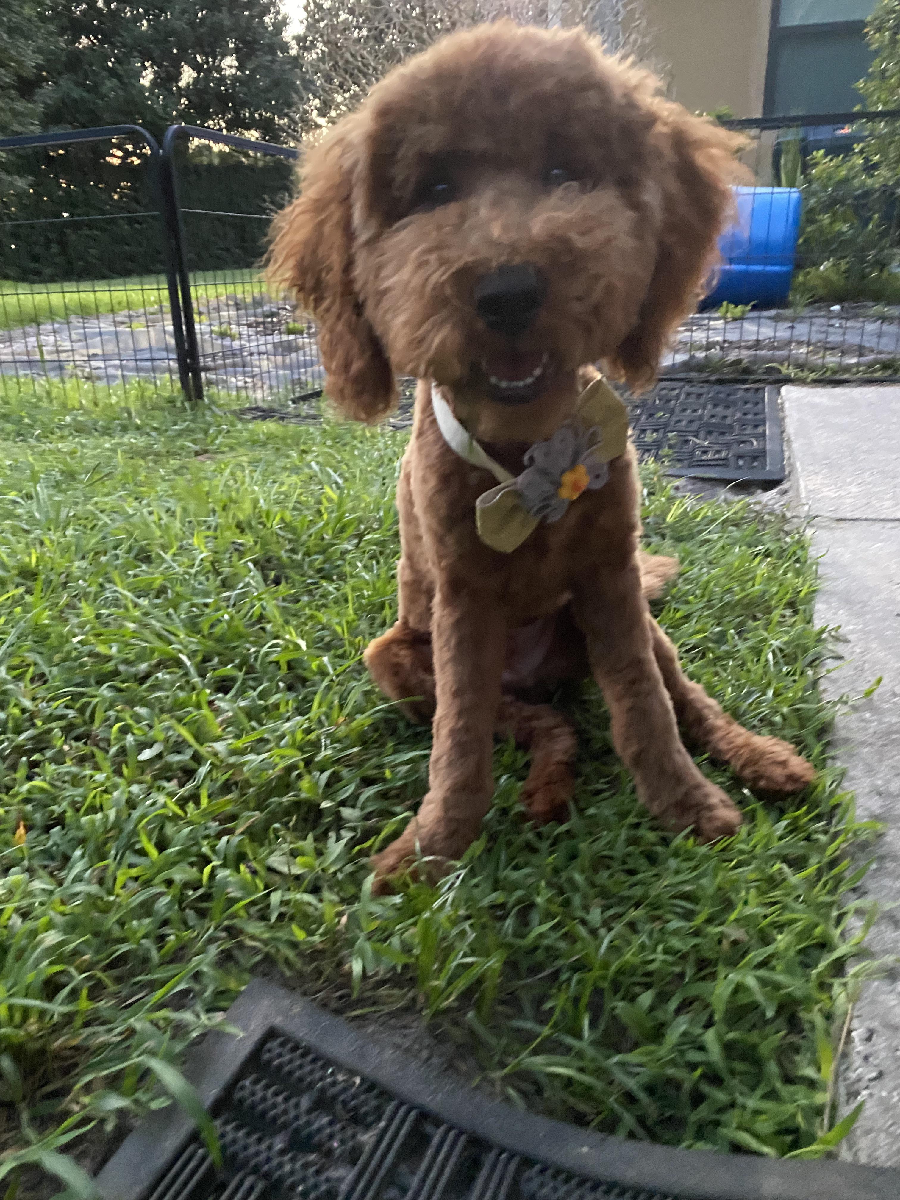 Fresh cut | Scrolller