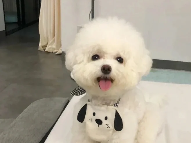 Sit nicely while eating | Scrolller