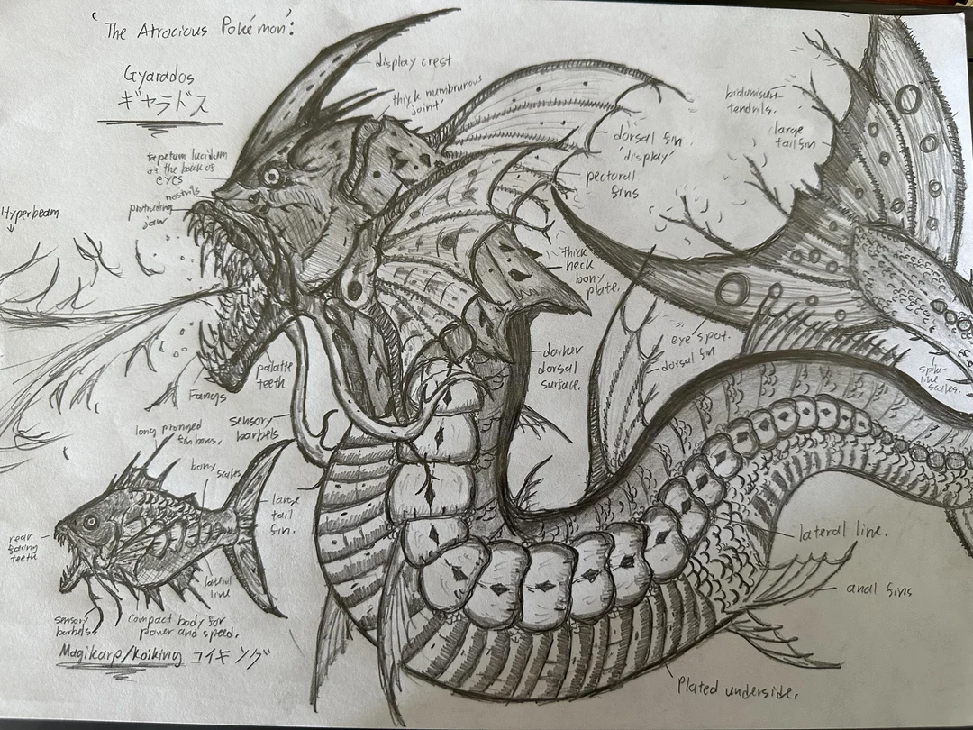 Gyarados and Magikarp, pencil drawing by me | Scrolller