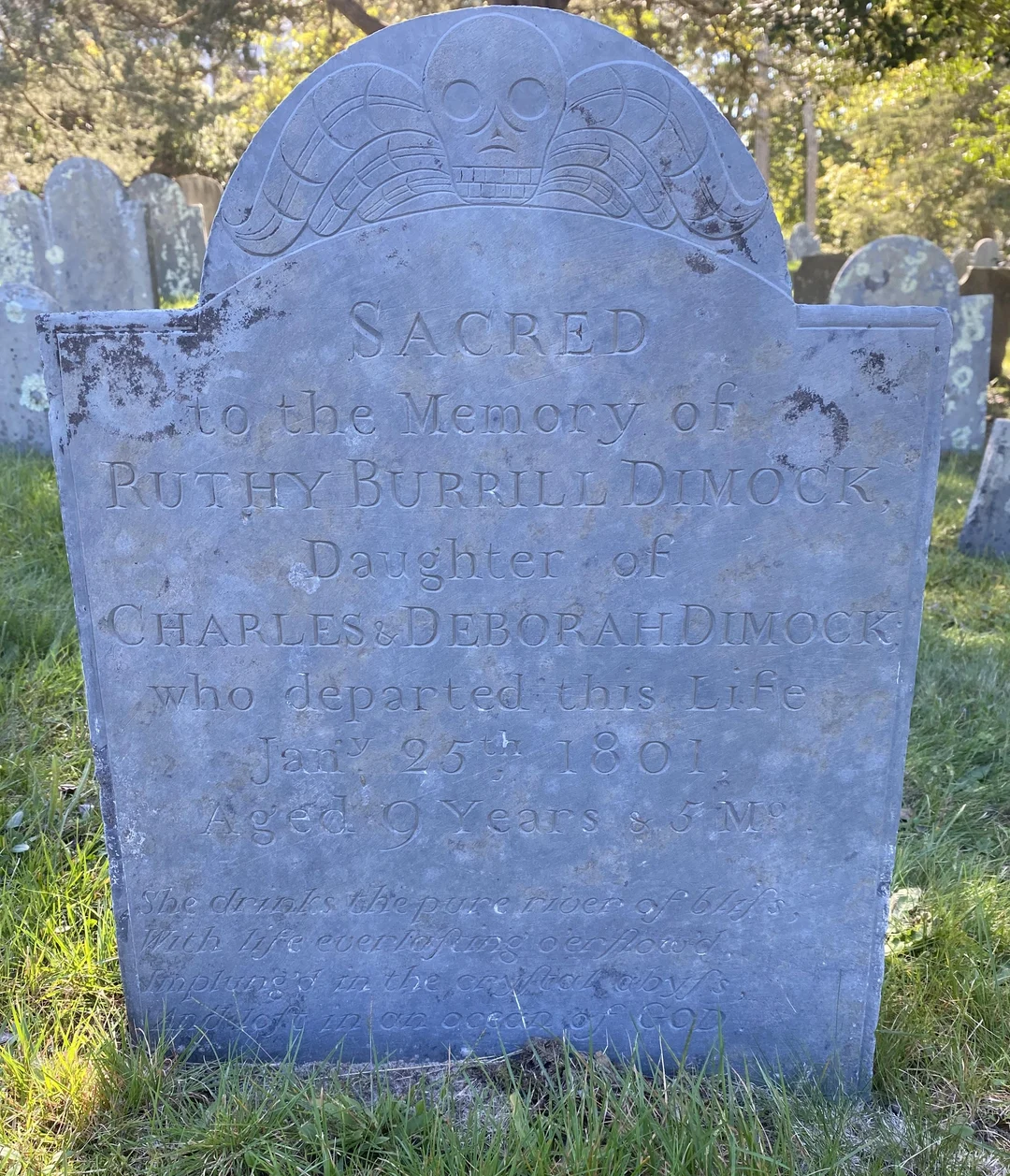 Another one from Cape Cod | Scrolller