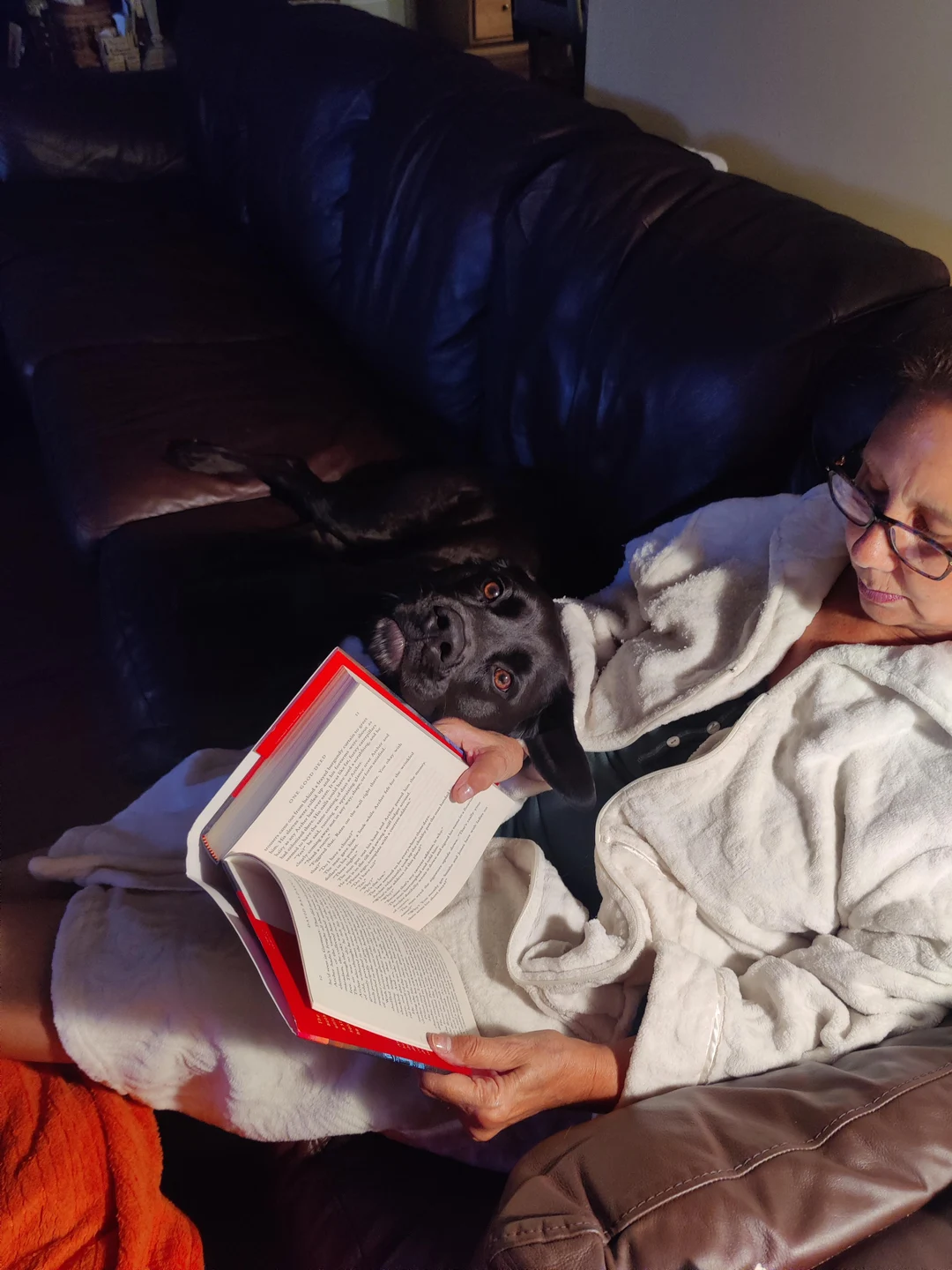 My dog Rosie being a cute lil pupper | Scrolller