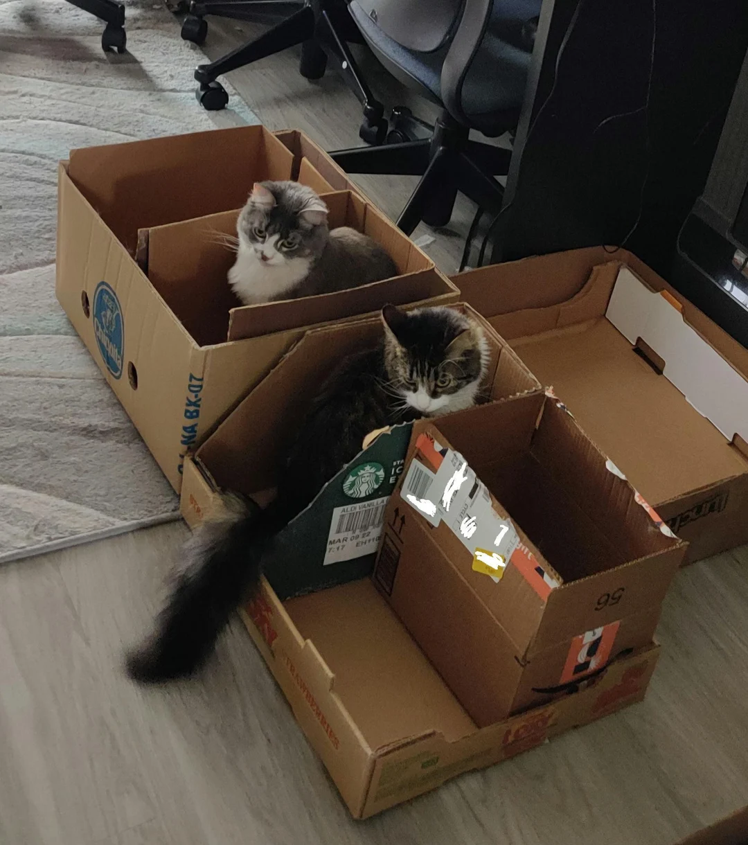 Got 'em both. | Scrolller