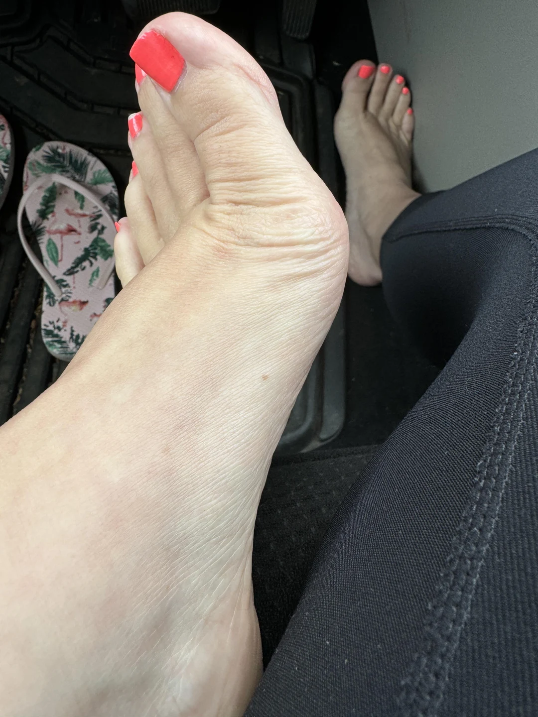 The Arch | Scrolller