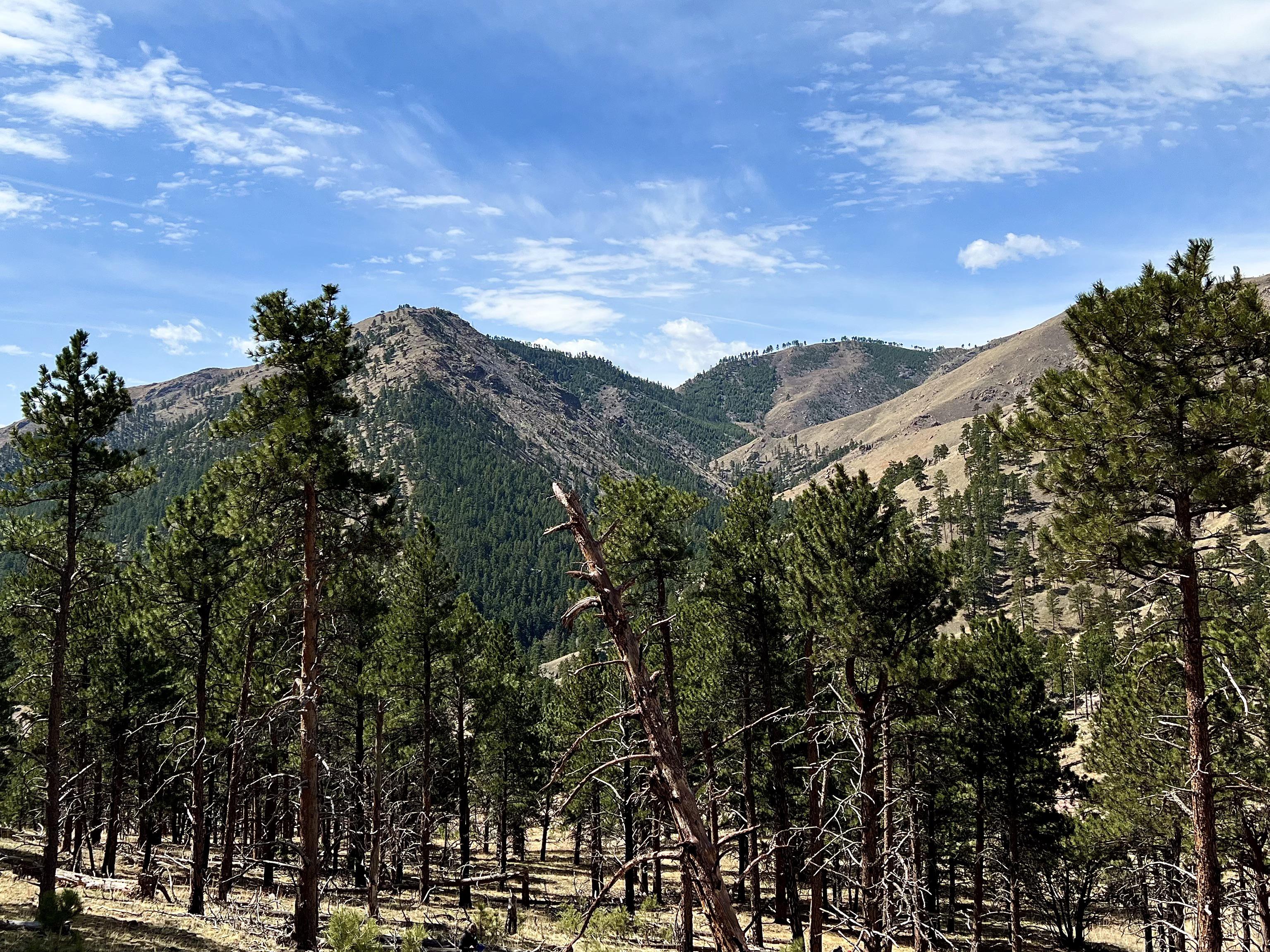 Lefthand Canyon | Scrolller