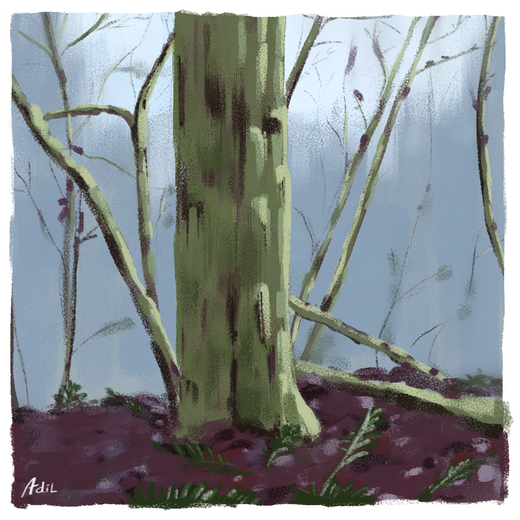Tree study, me, Digital, 2023 | Scrolller
