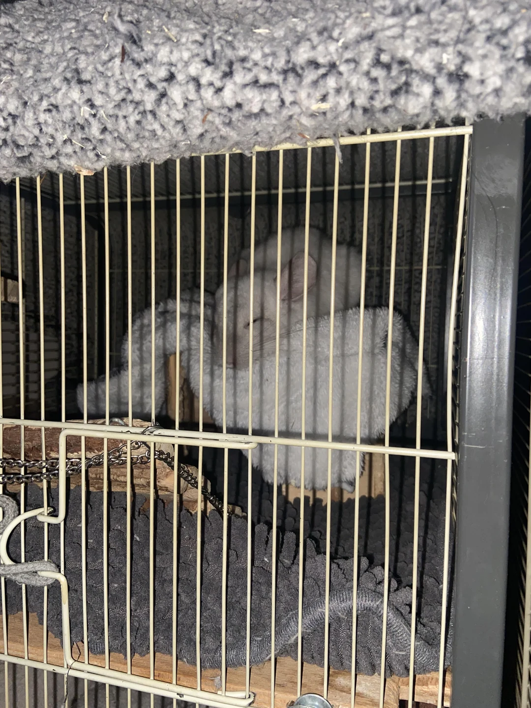 so peaceful | Scrolller