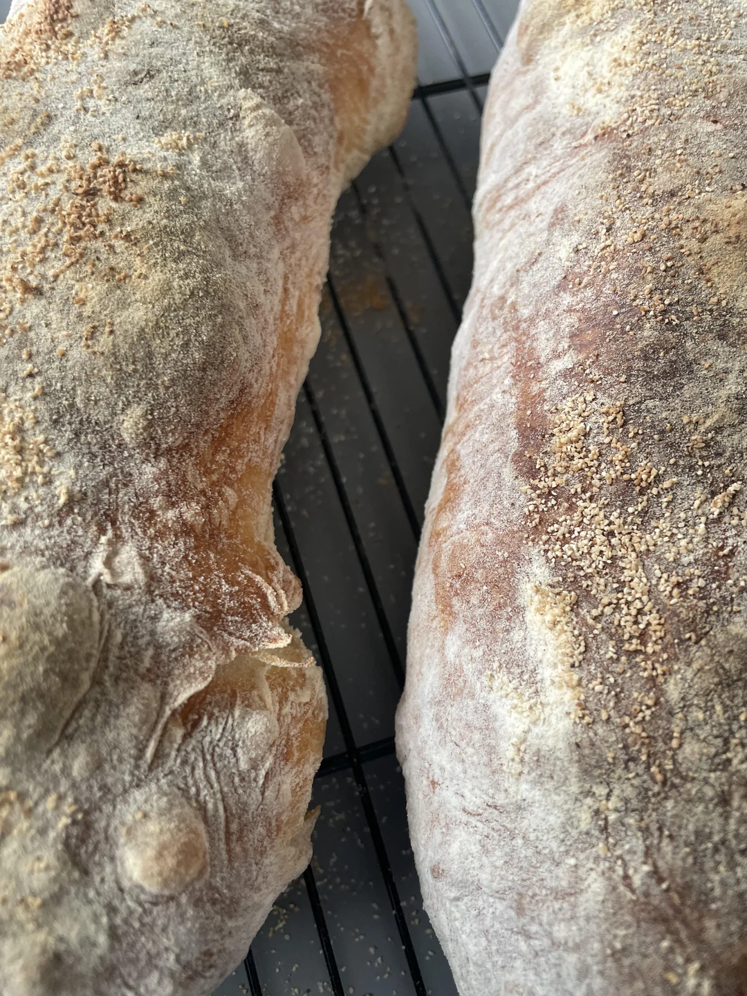 Ciabatta | Scrolller