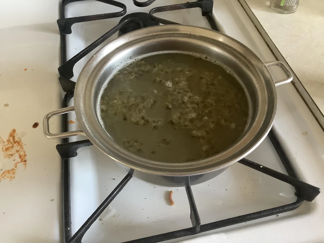 Za tea is valid right? | Scrolller