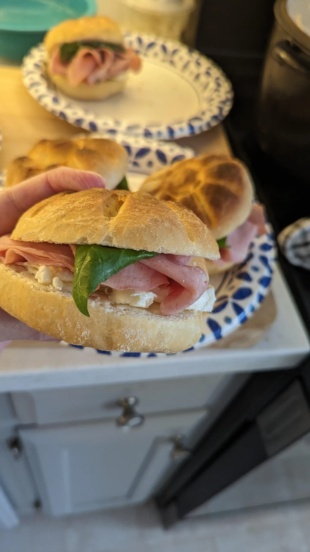 Homemade rosette with Mortadella, fresh mozzarella, and basil | Scrolller