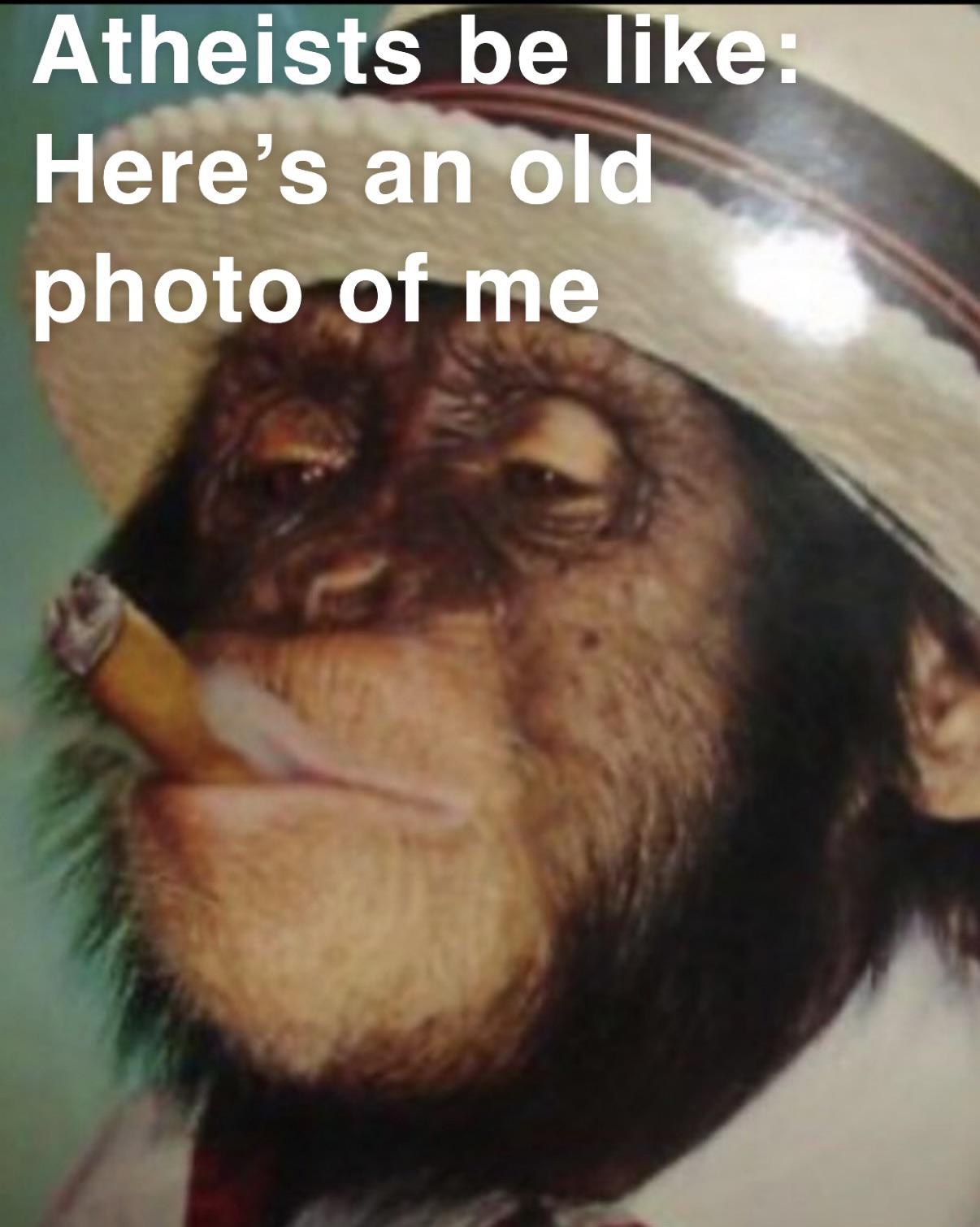 All jokes | Scrolller