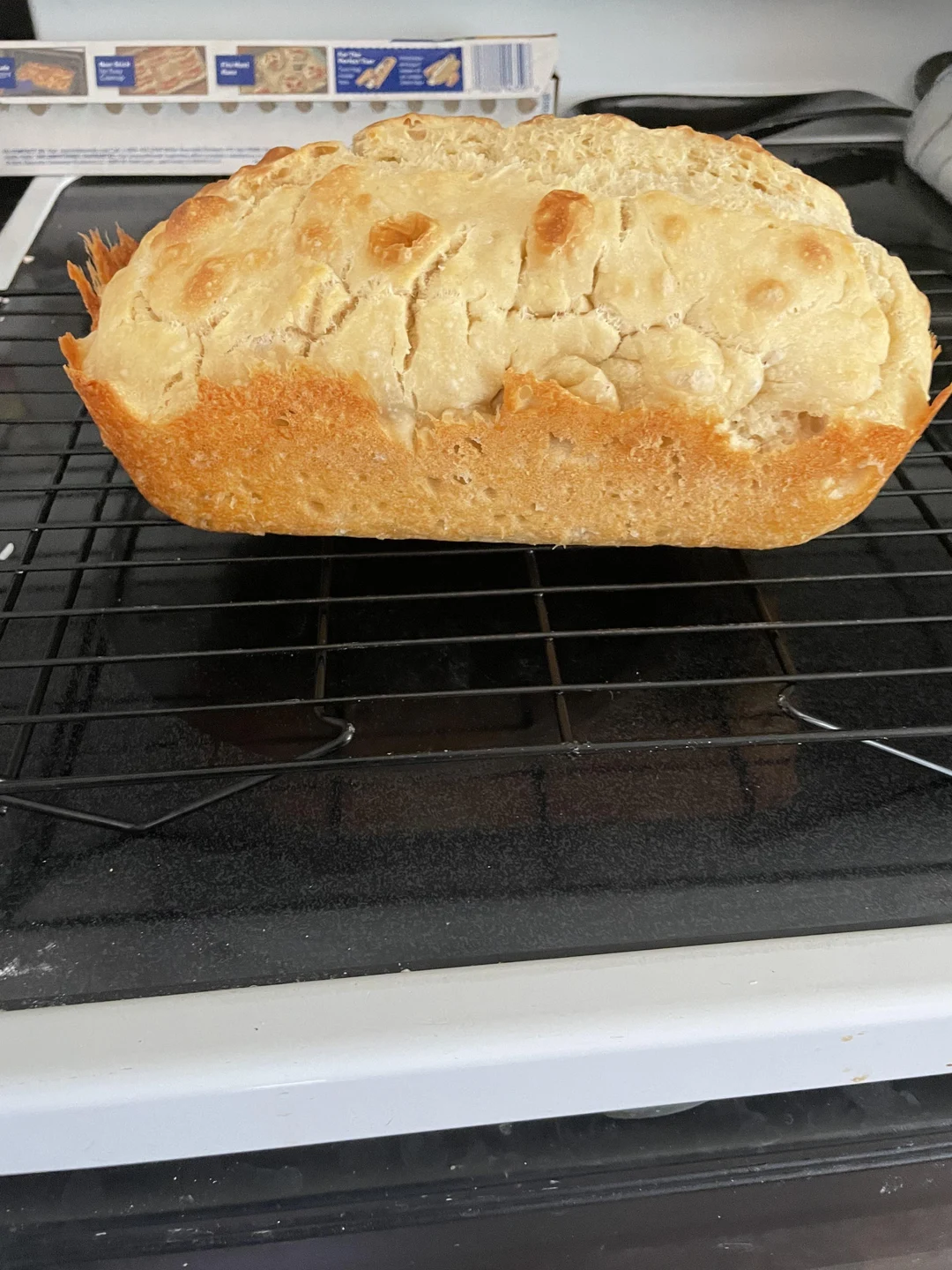 Focaccia loaf | Scrolller