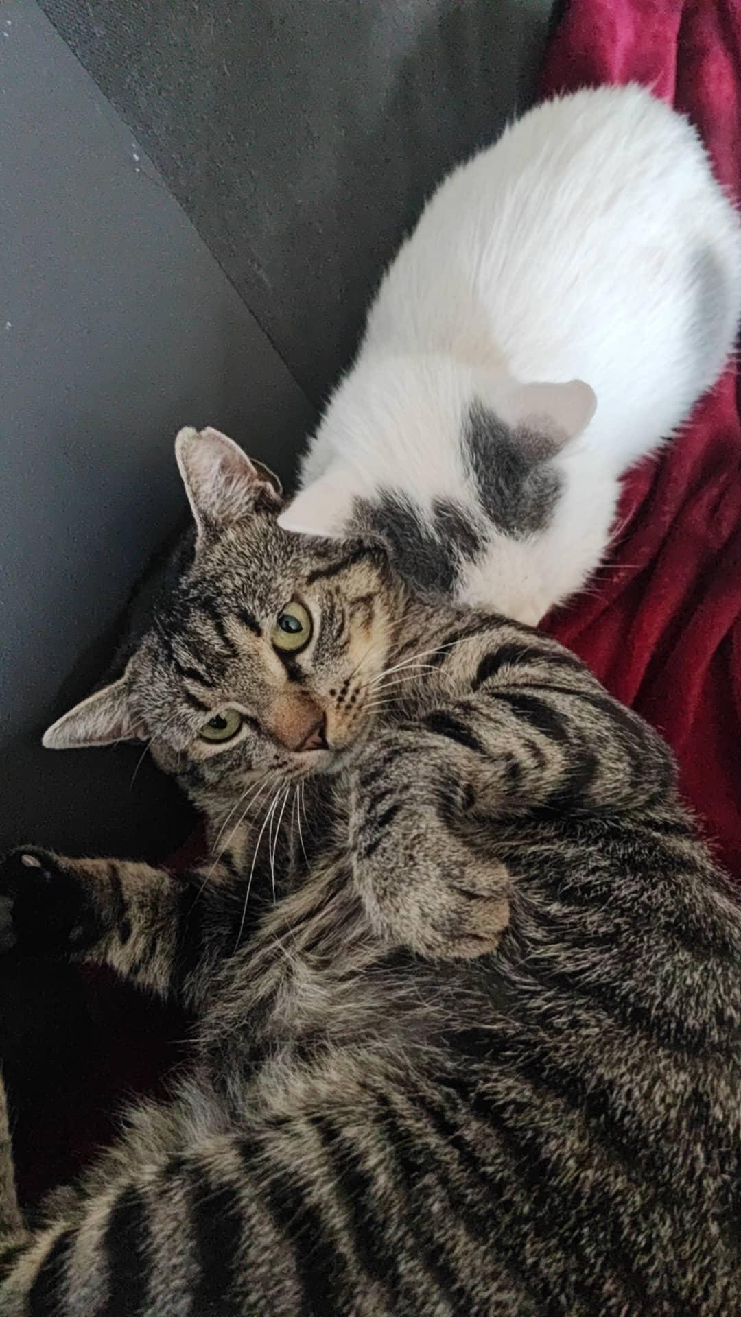 My sons :) | Scrolller